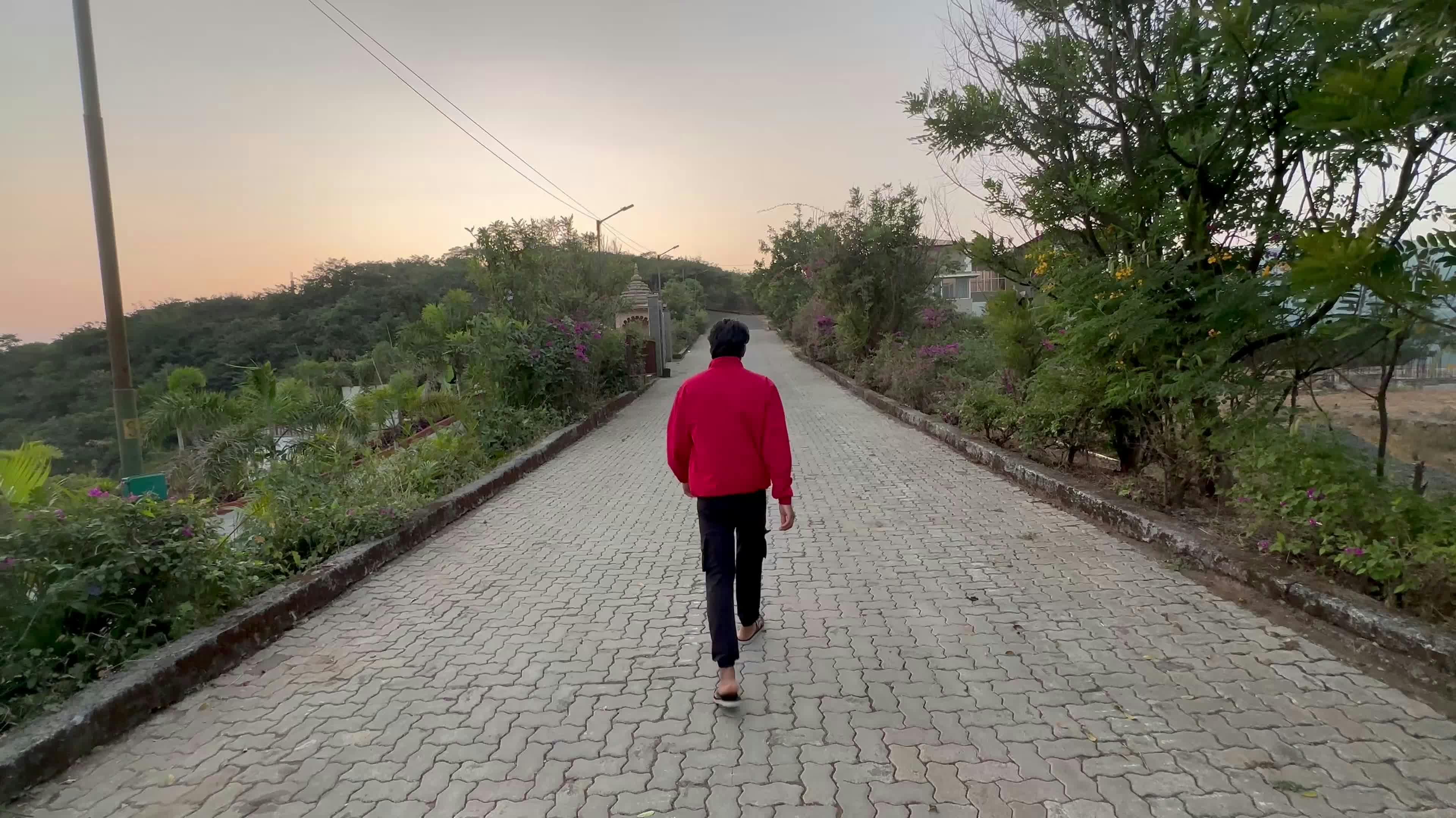 Fries Solo Videos, Download The BEST Free 4k Stock Video Footage ...