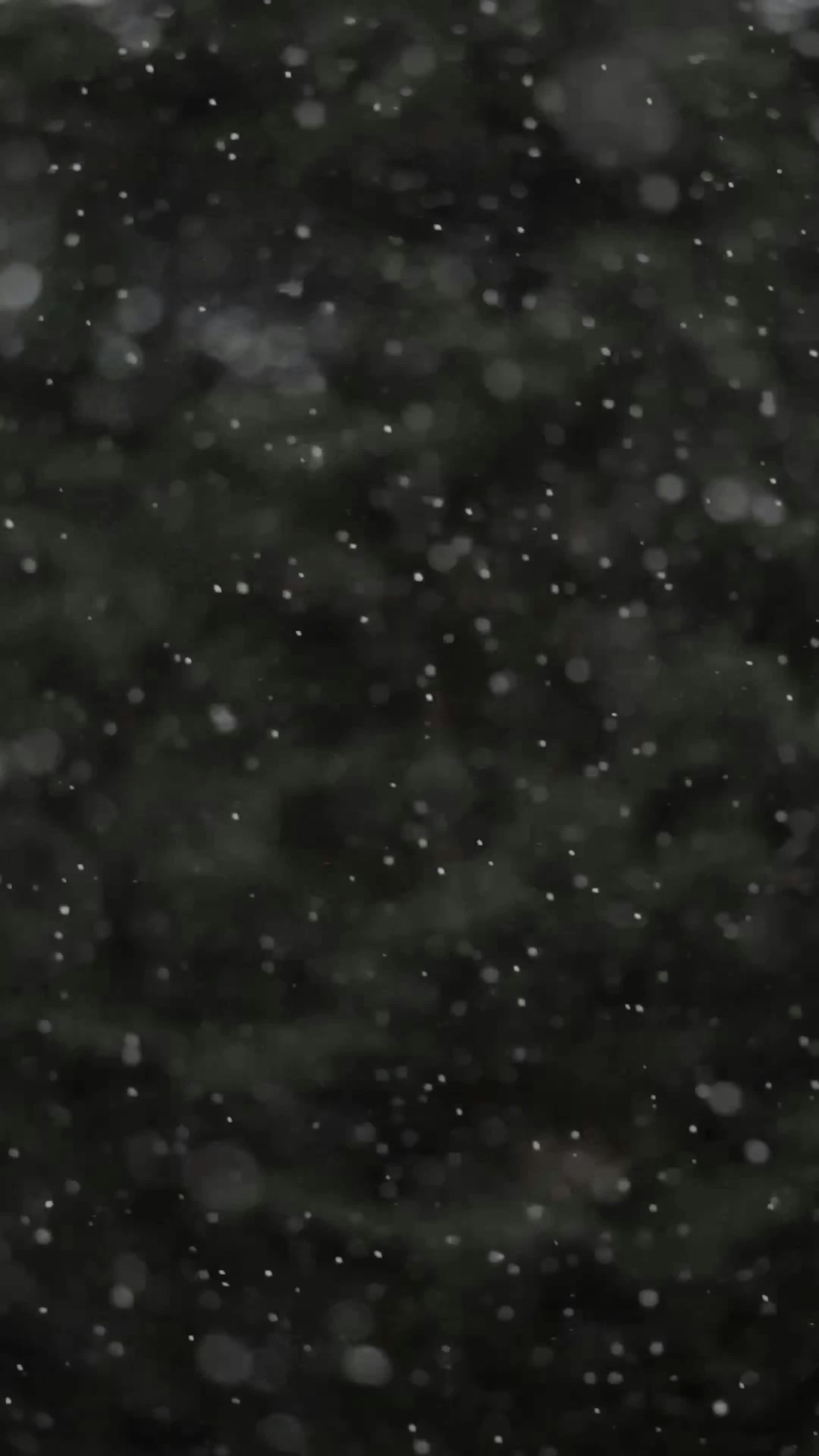 Snow Falling Video Free Stock Video Footage, Royalty-Free 4K & HD Video ...
