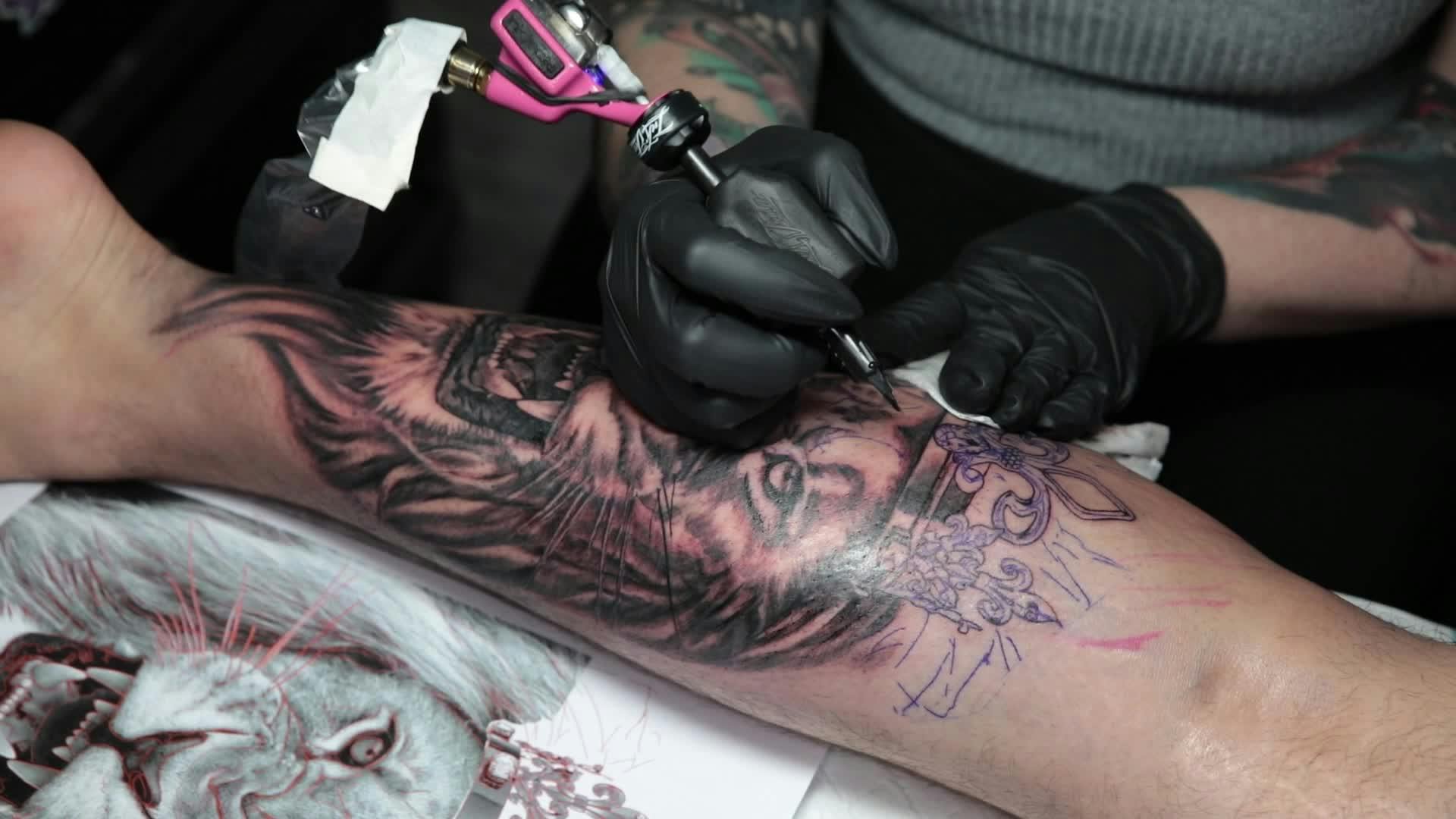 Silverback Ink Videos, Download The BEST Free 4k Stock Video Footage ...