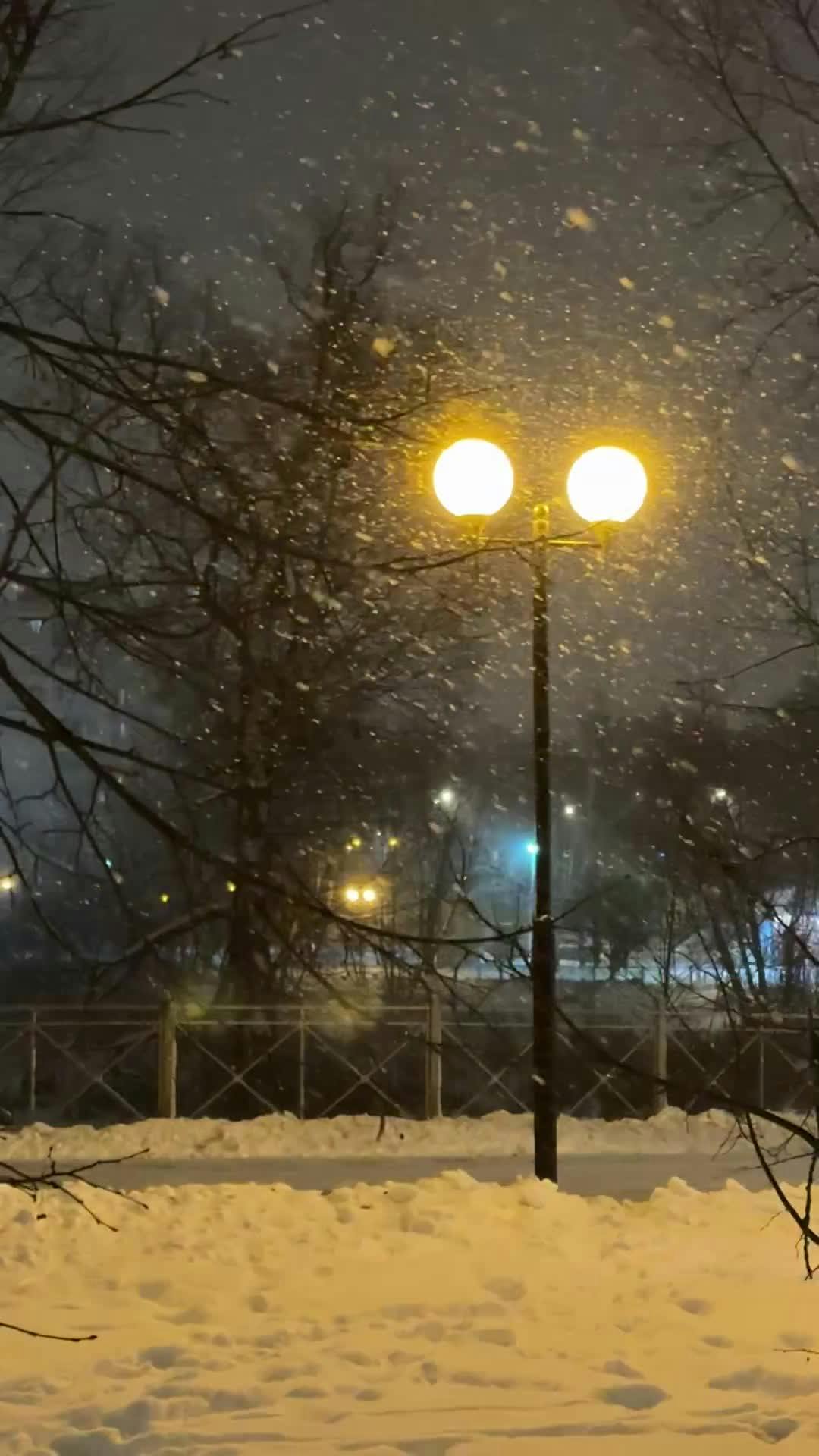 Snowfall on a Winter Night with Streetlights Free Stock Video Footage ...