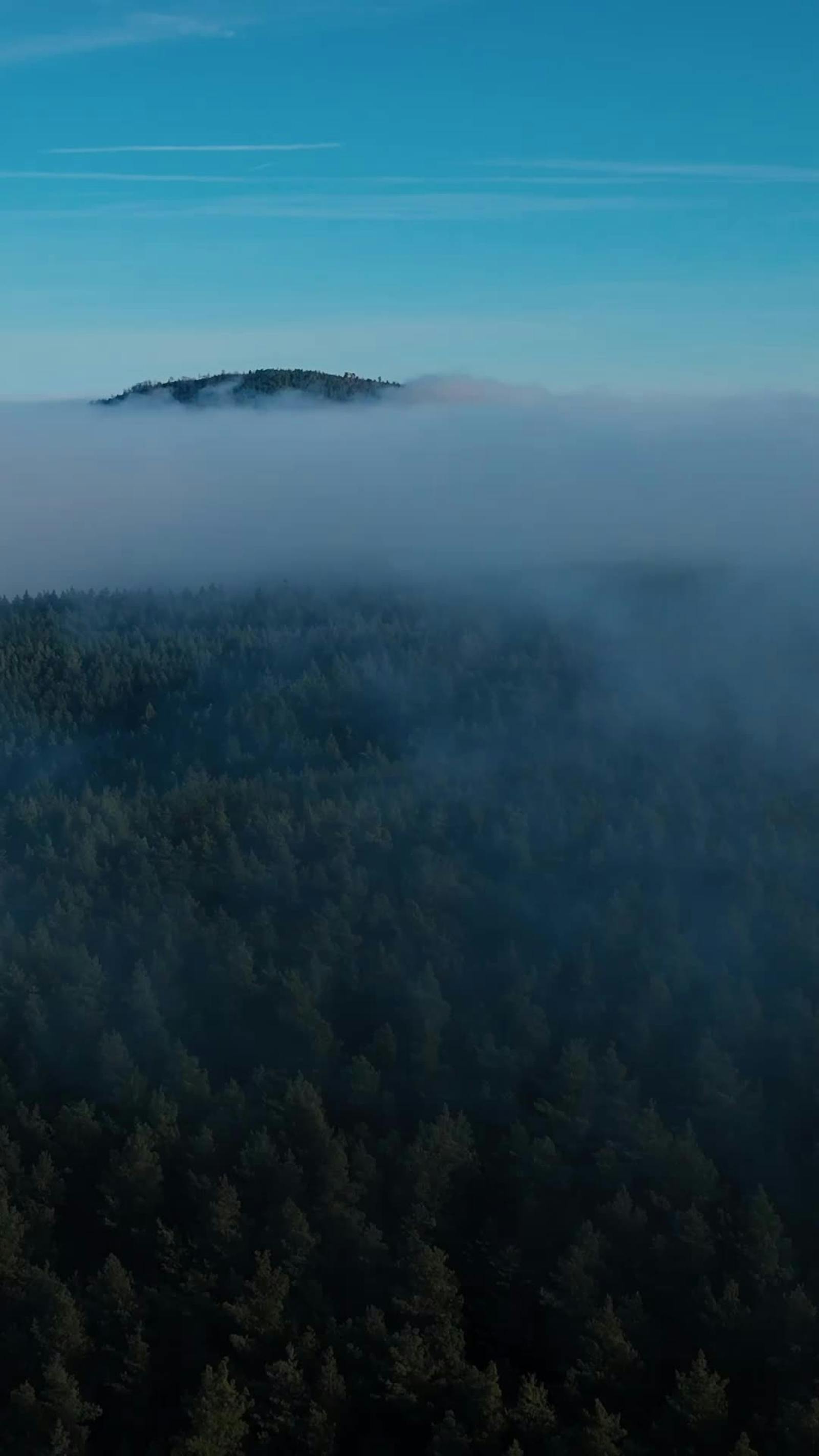 Reel Background Videos, Download The BEST Free 4k Stock Video Footage ...