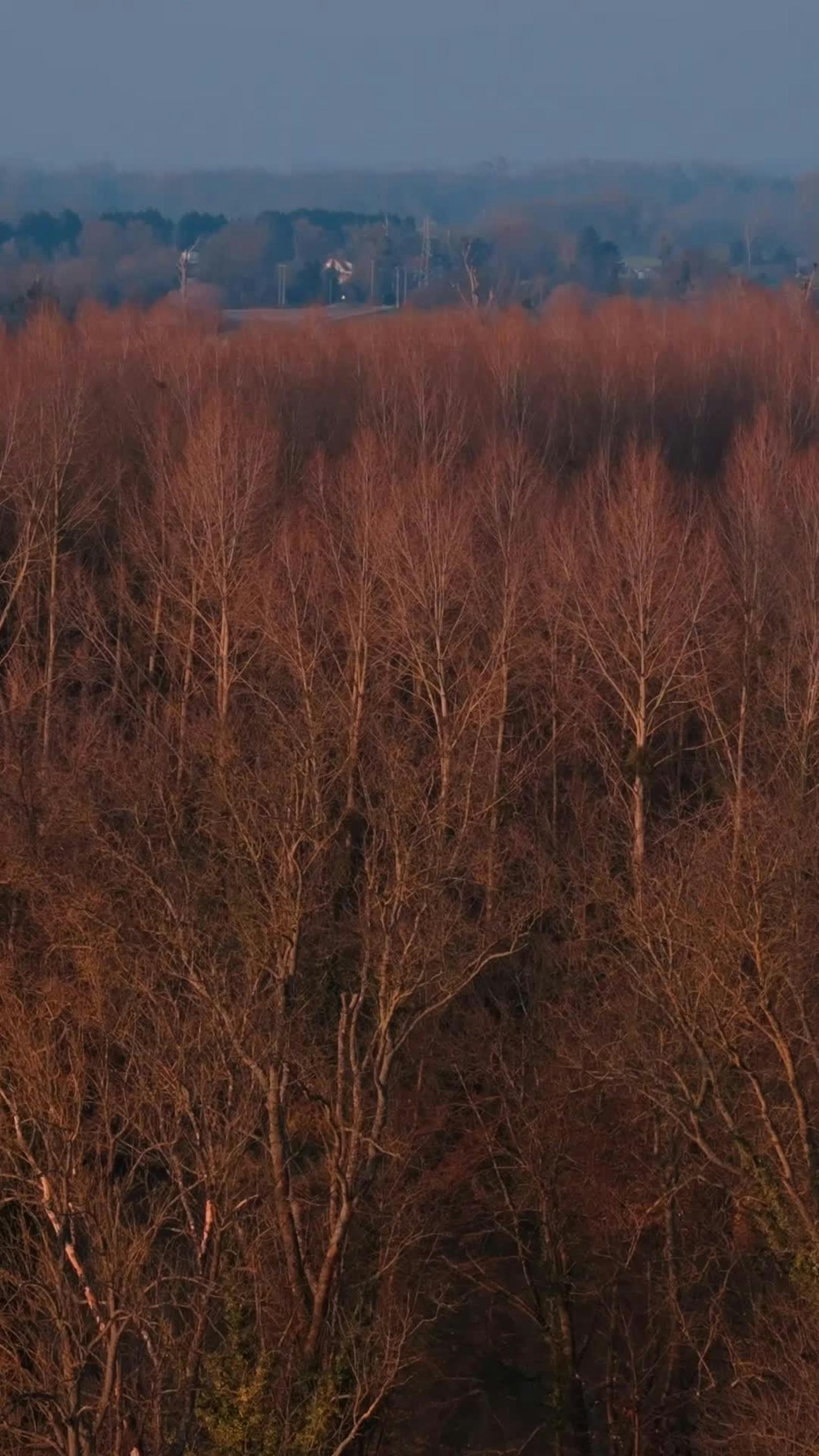 Reel Background Videos, Download The BEST Free 4k Stock Video Footage ...