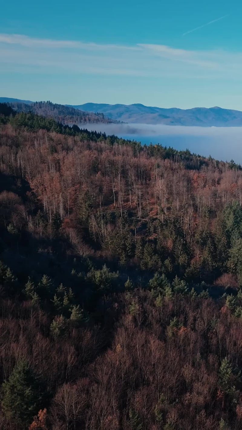 Reel Background Videos, Download The BEST Free 4k Stock Video Footage ...