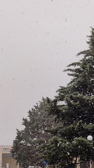 Snow Videos, Download The BEST Free 4k Stock Video Footage & Snow HD ...