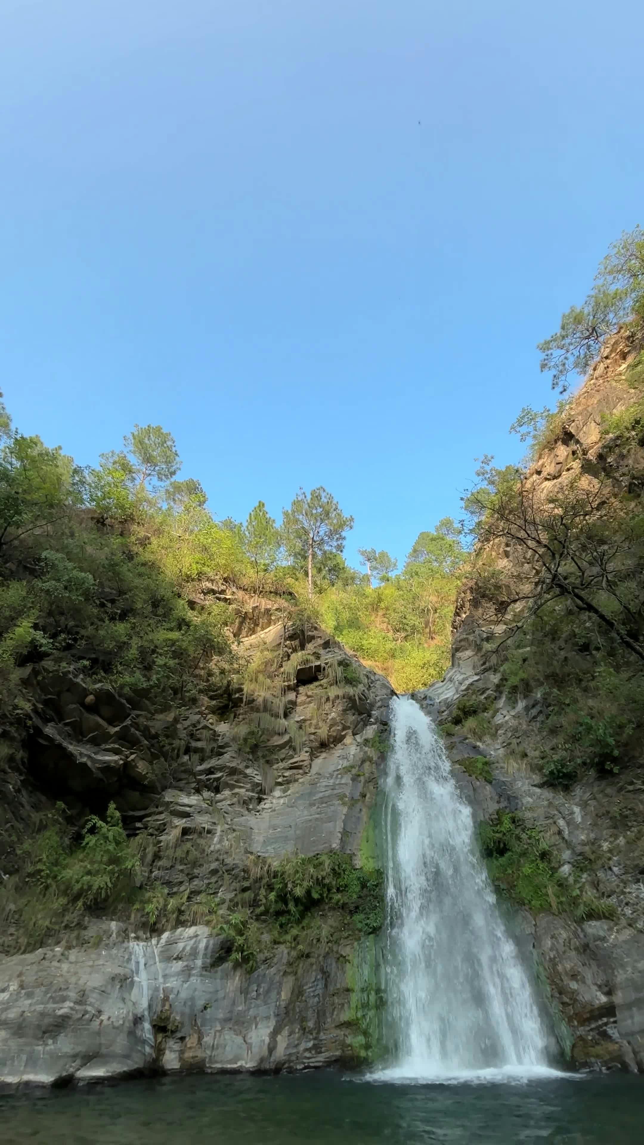 Cachoeira Serena Em Paisagem De Floresta Exuberante · Vídeo ...