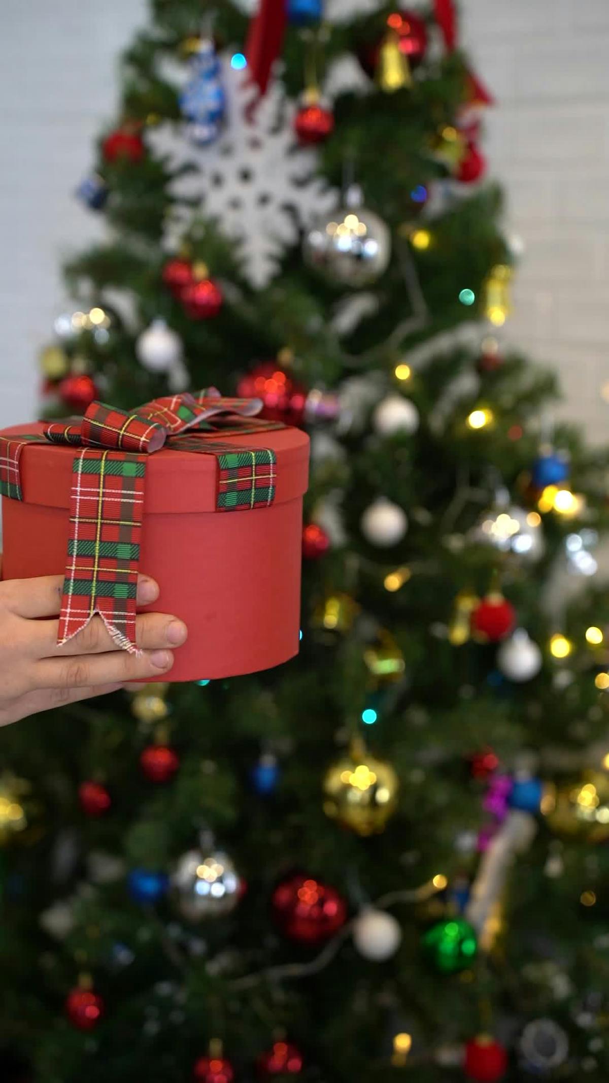 Unwrapping Christmas Gift with Festive Joy Free Stock Video Footage ... Unwrapping Christmas Gift with Festive Joy Free Stock Video Footage ...