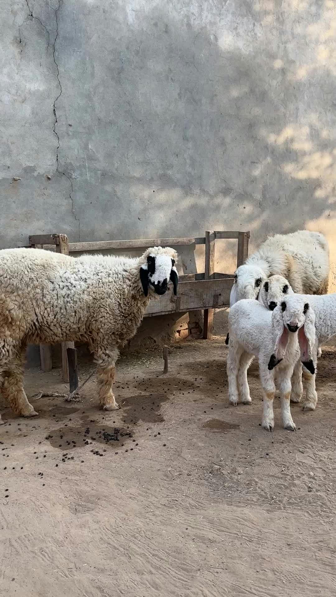 Penggunaan Mesin Dalam Pertanian Videos, Download The BEST Free 4k ...