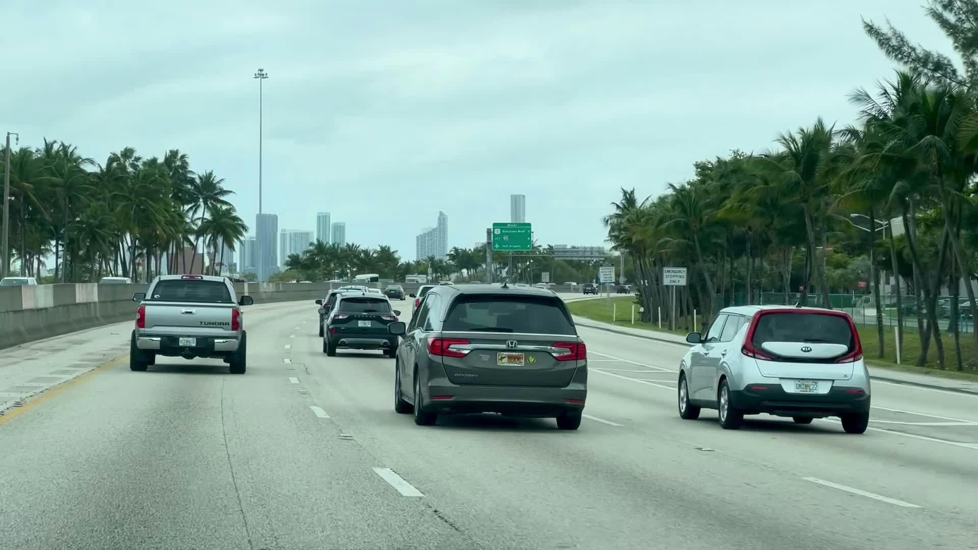 Pato Florida Videos, Download The BEST Free 4k Stock Video Footage ...