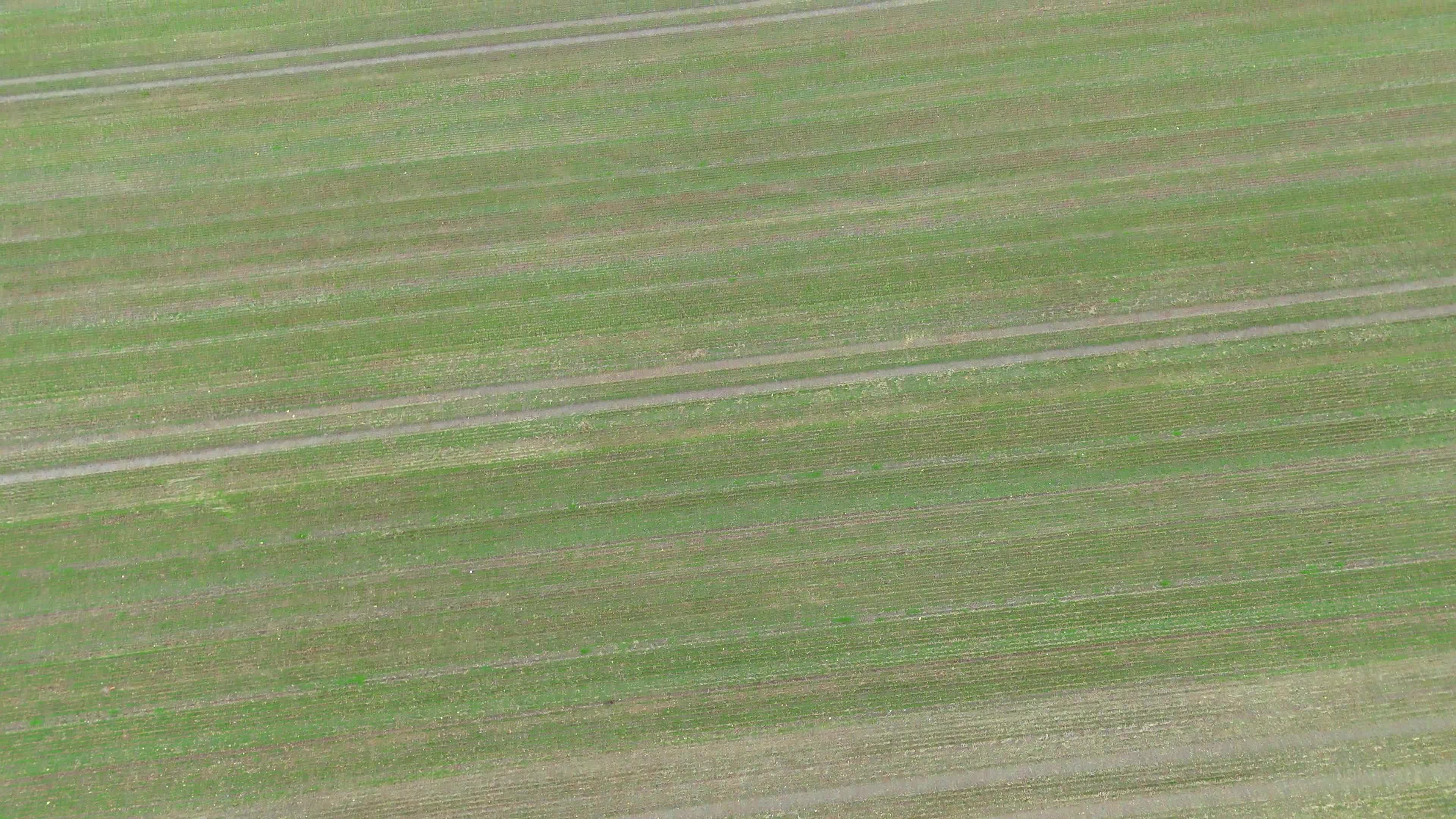 Aerial Drone View of Expansive Green Fields Free Stock Video Footage ...