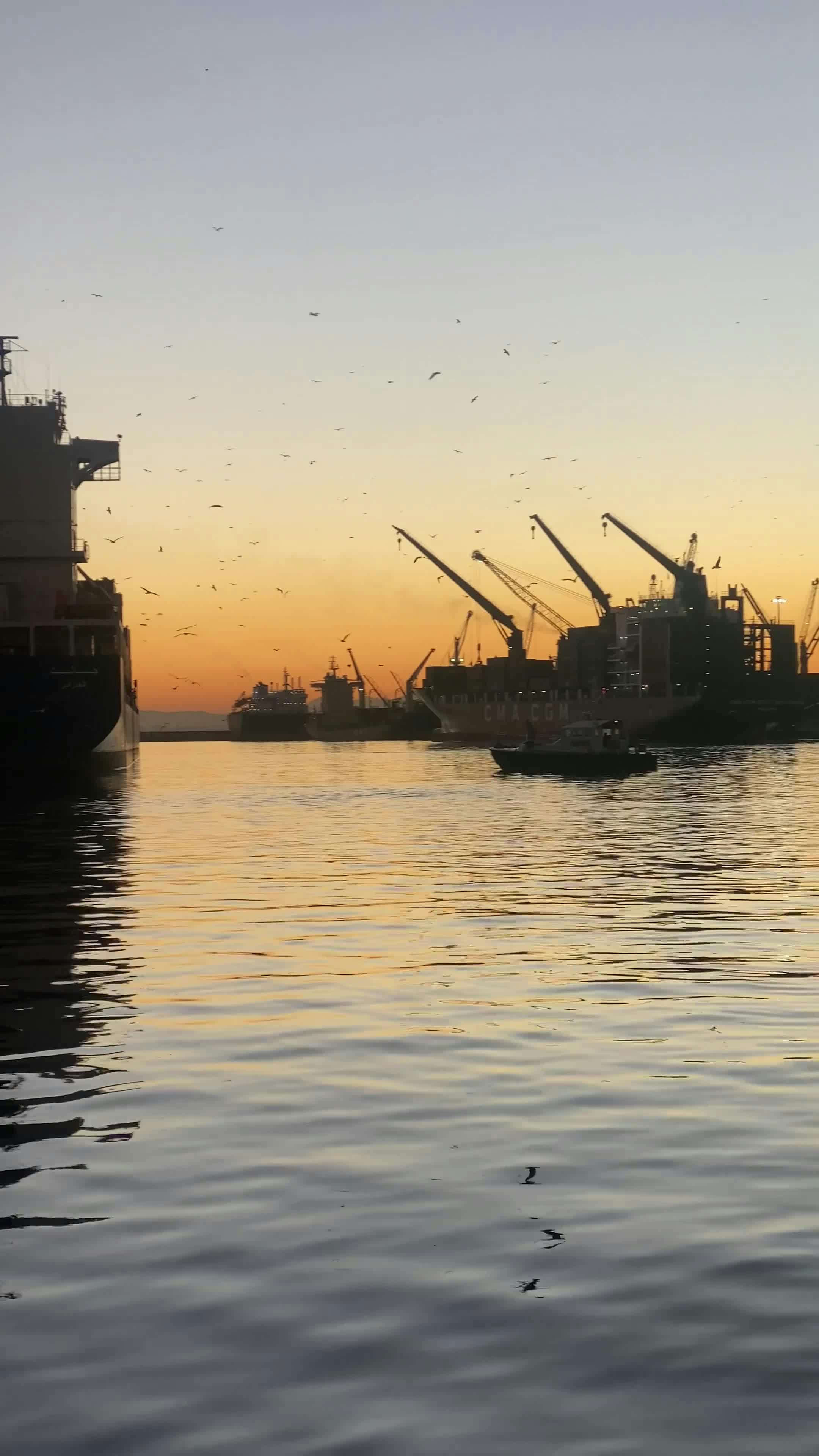 Dramatic Harbor Scene at Sunset with Ships Free Stock Video Footage ...