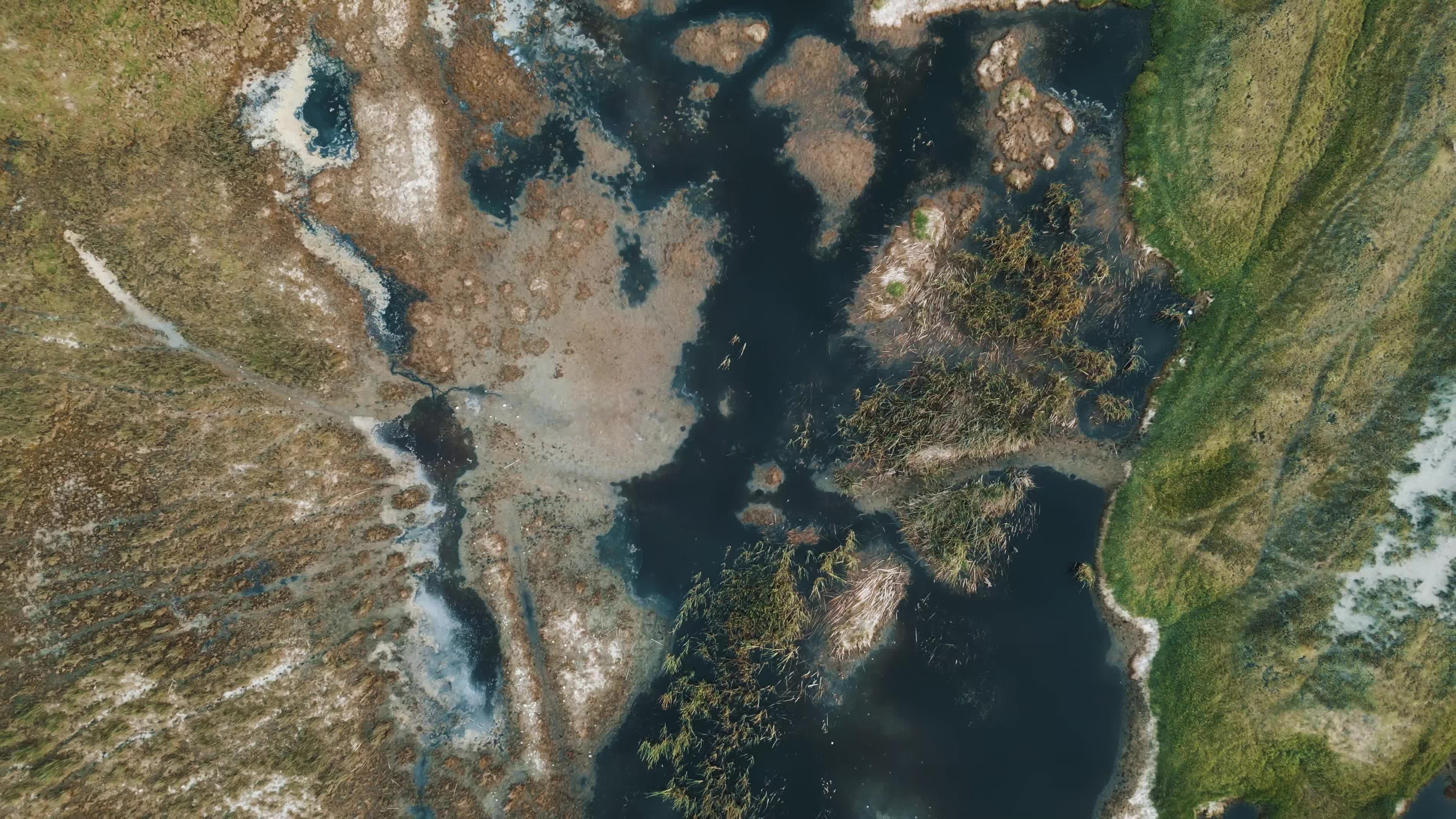 Aerial Landscape View of River and Vegetation Free Stock Video Footage ...