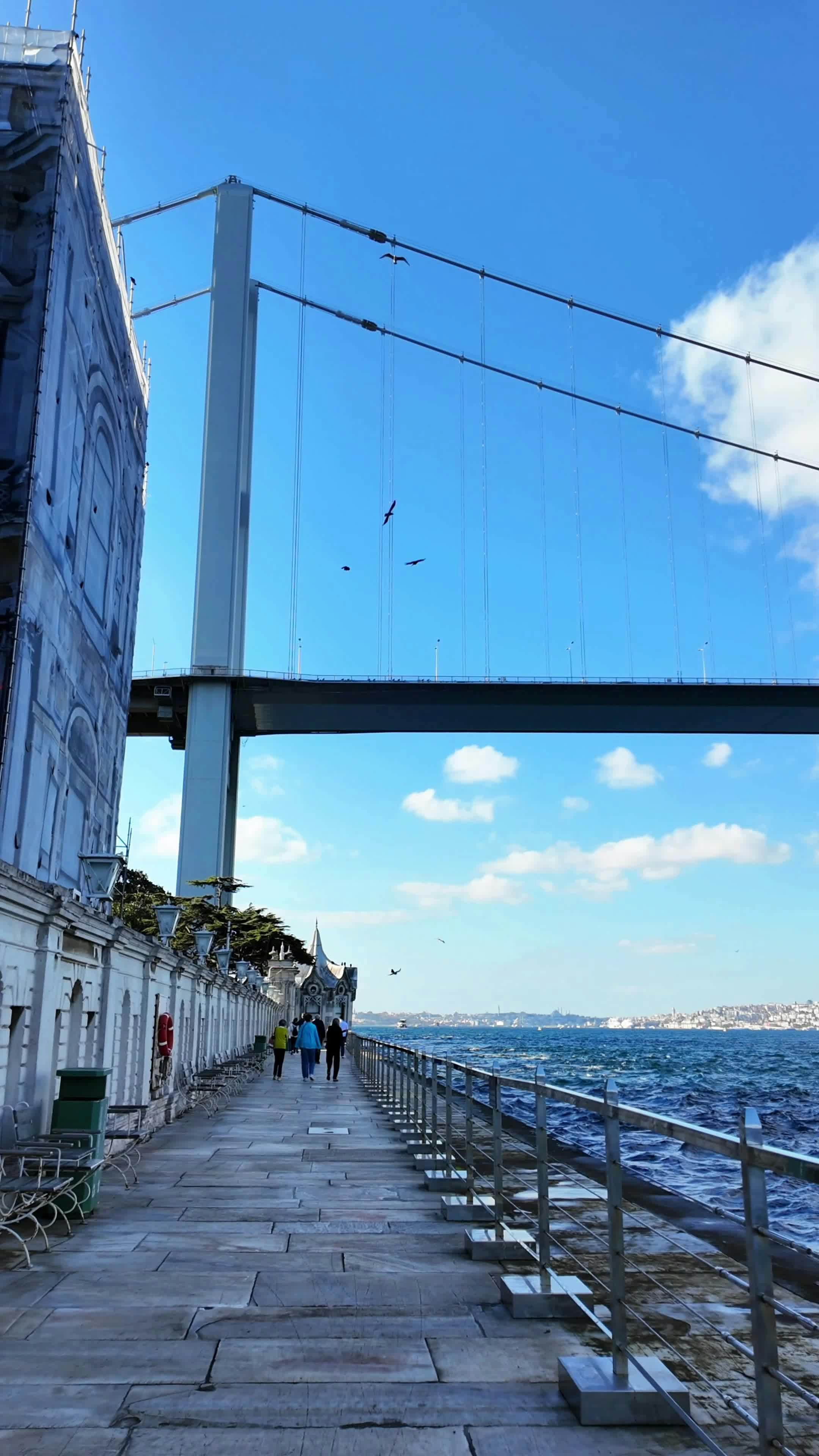 Cable Ladders Videos, Download The BEST Free 4k Stock Video Footage ...