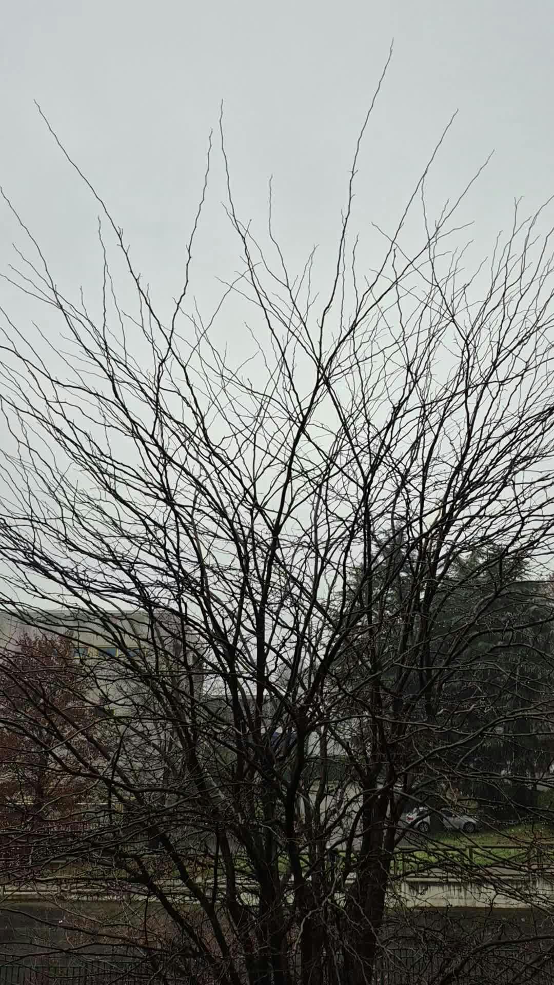 Televisio Static Videos, Download The BEST Free 4k Stock Video Footage ...