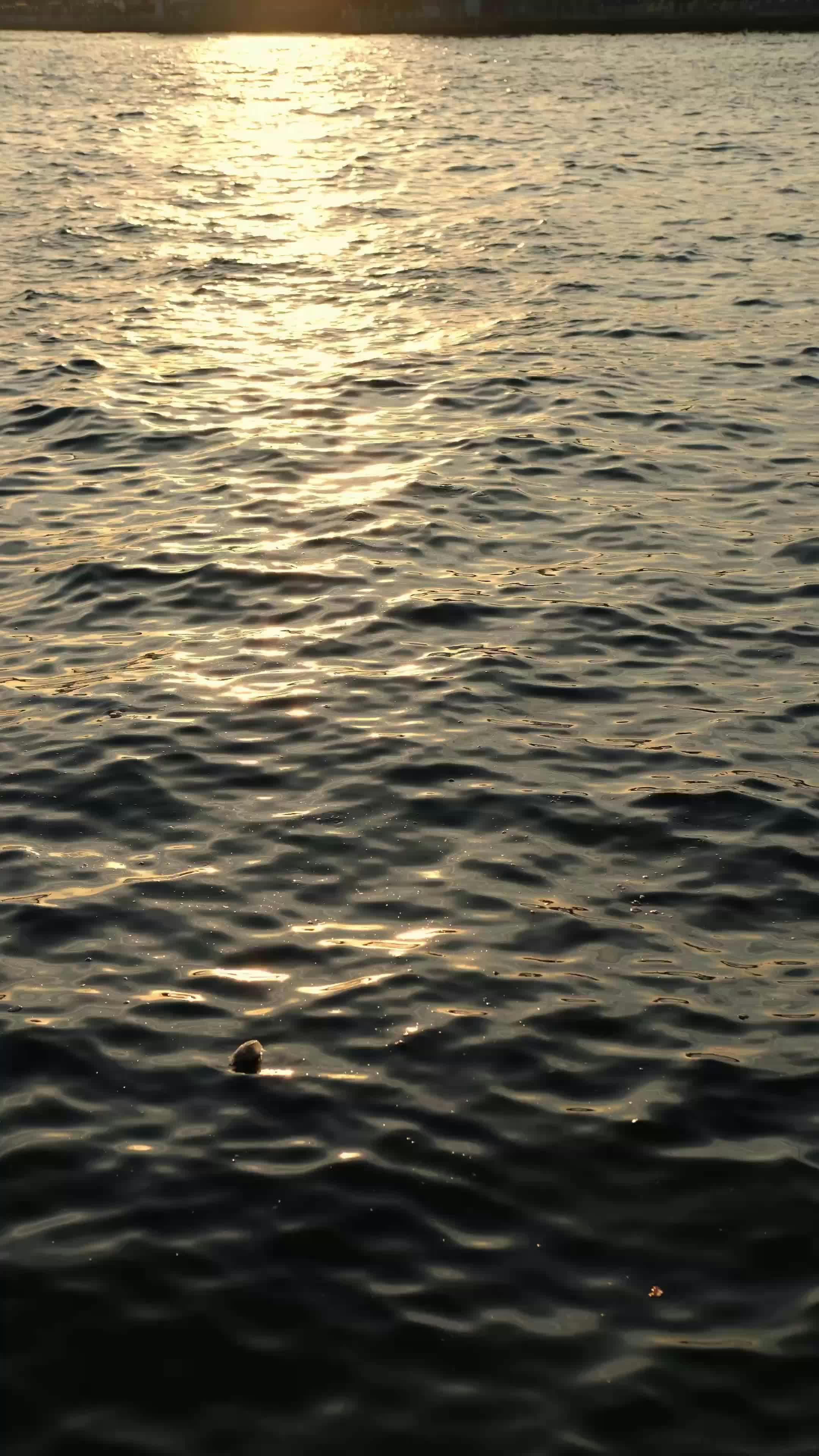 Cinematic Reflections Videos, Download The BEST Free 4k Stock Video ...