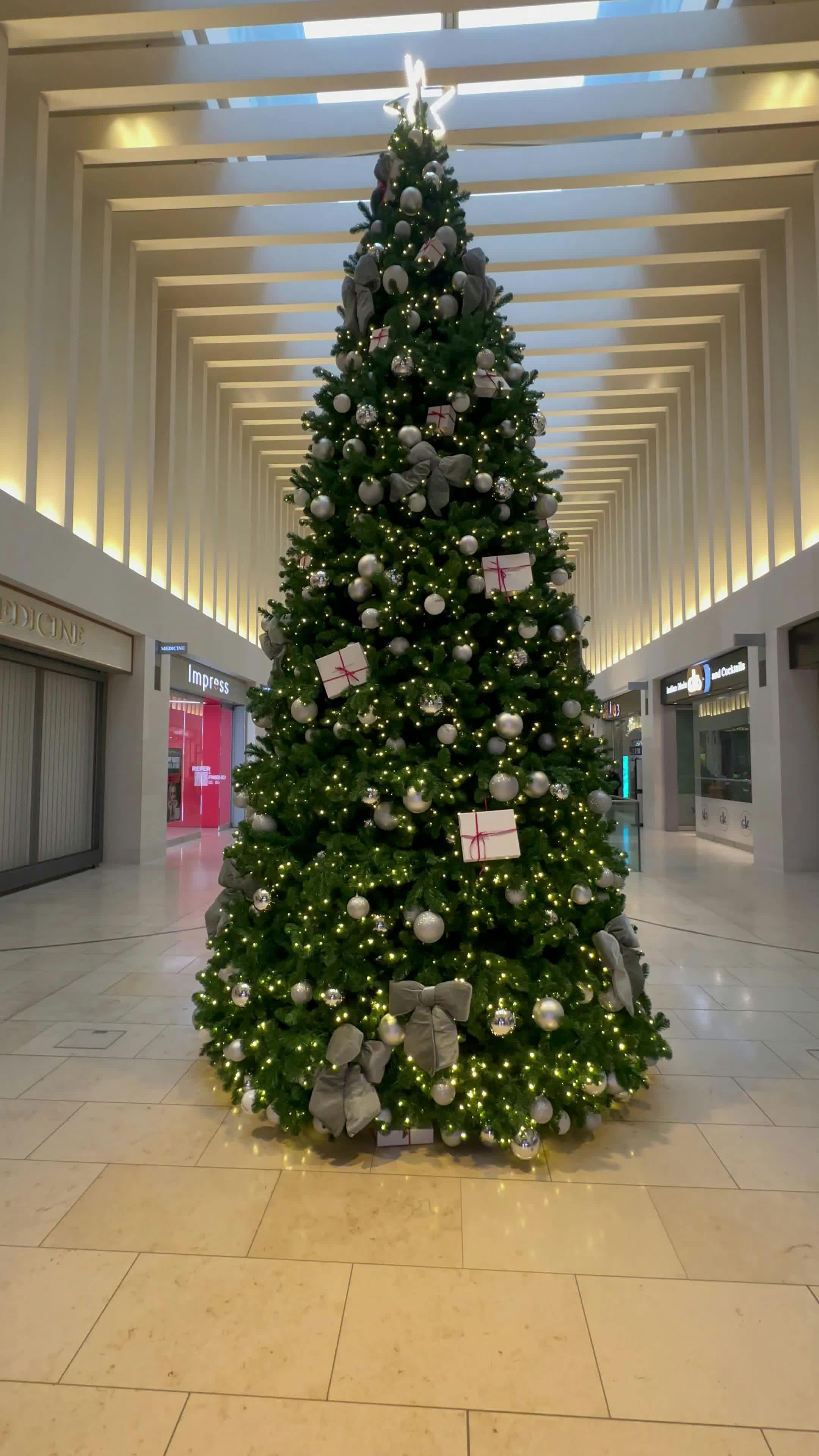 Majestic Christmas Tree in Shopping Mall Free Stock Video Footage ...