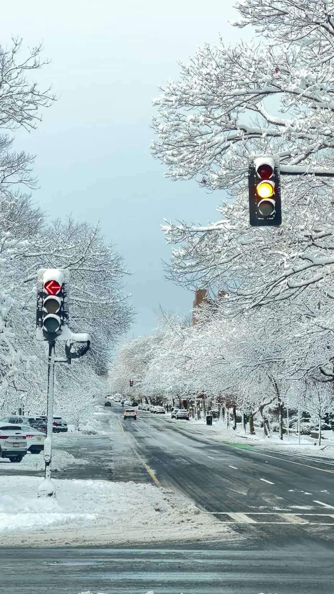 Scenic Snowy Street with Traffic Lights Free Stock Video Footage ...
