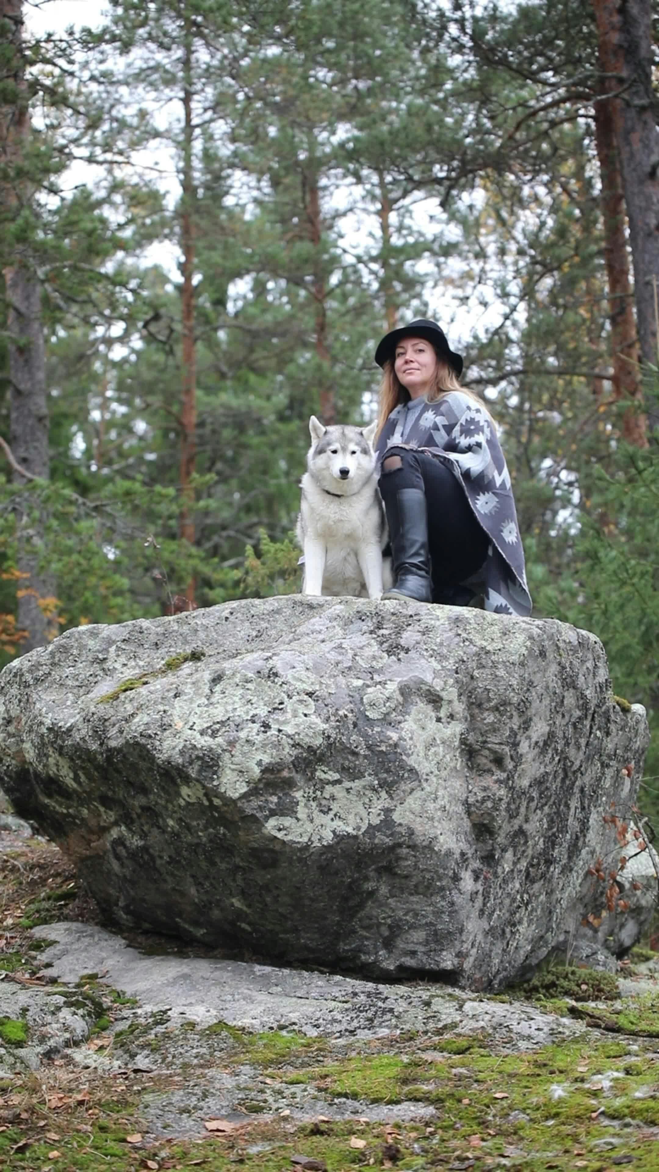 Come Payoneer Videos, Download The BEST Free 4k Stock Video Footage ...