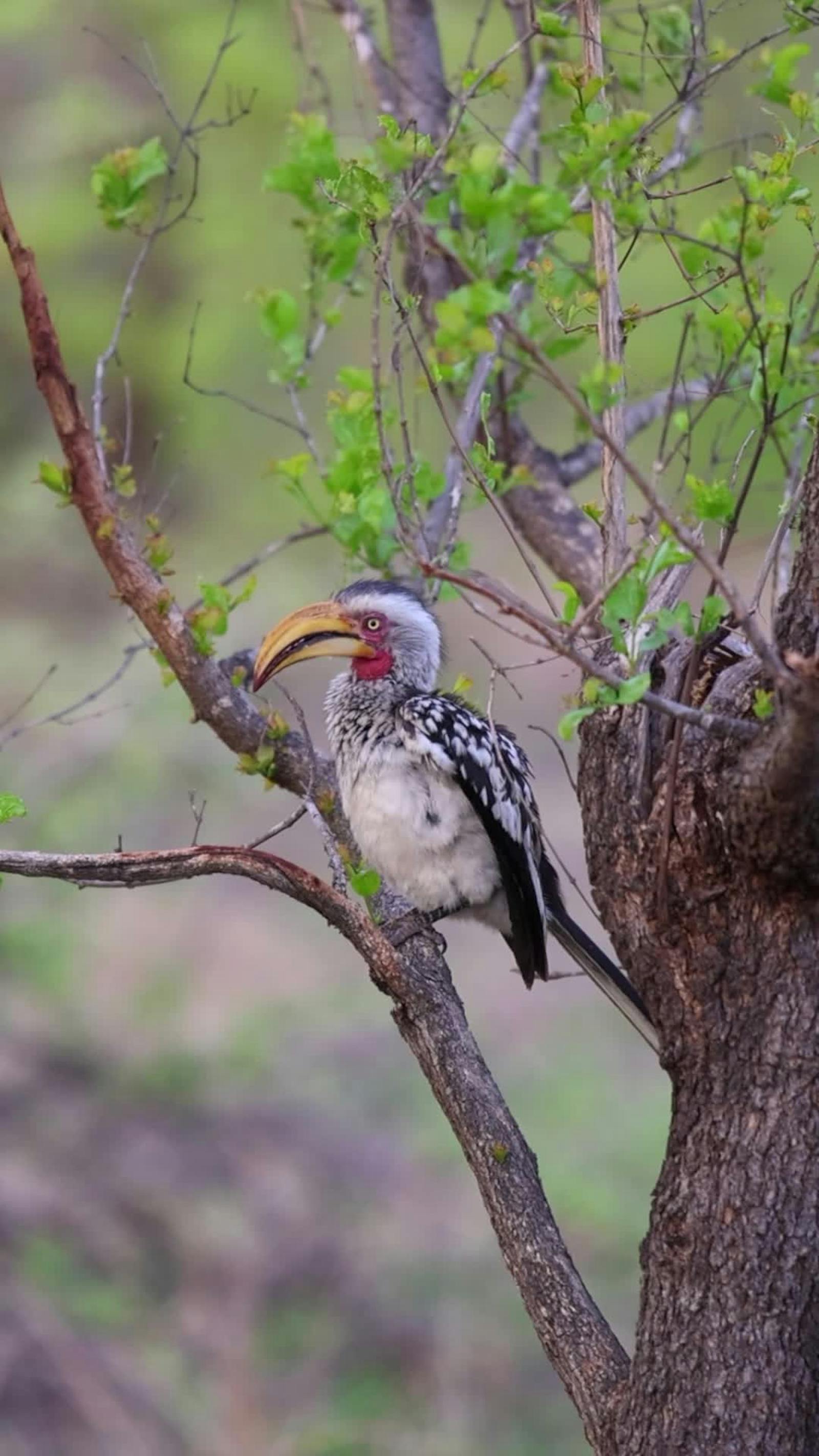 Nature Videos 4k Videos, Download The BEST Free 4k Stock Video Footage ...