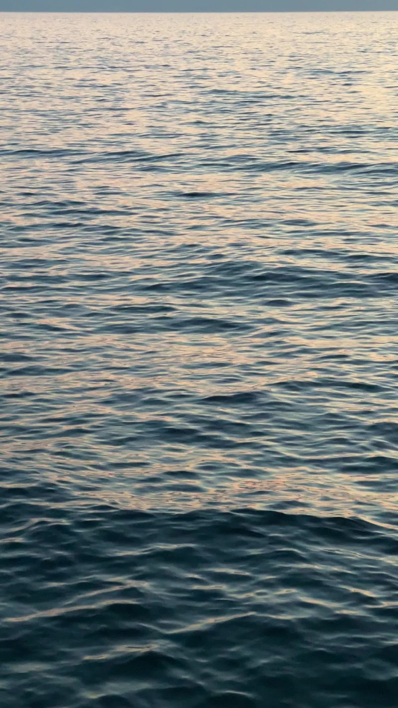 Beach Sunrise Wallpaper Videos Download The Best Free 4k Stock Video