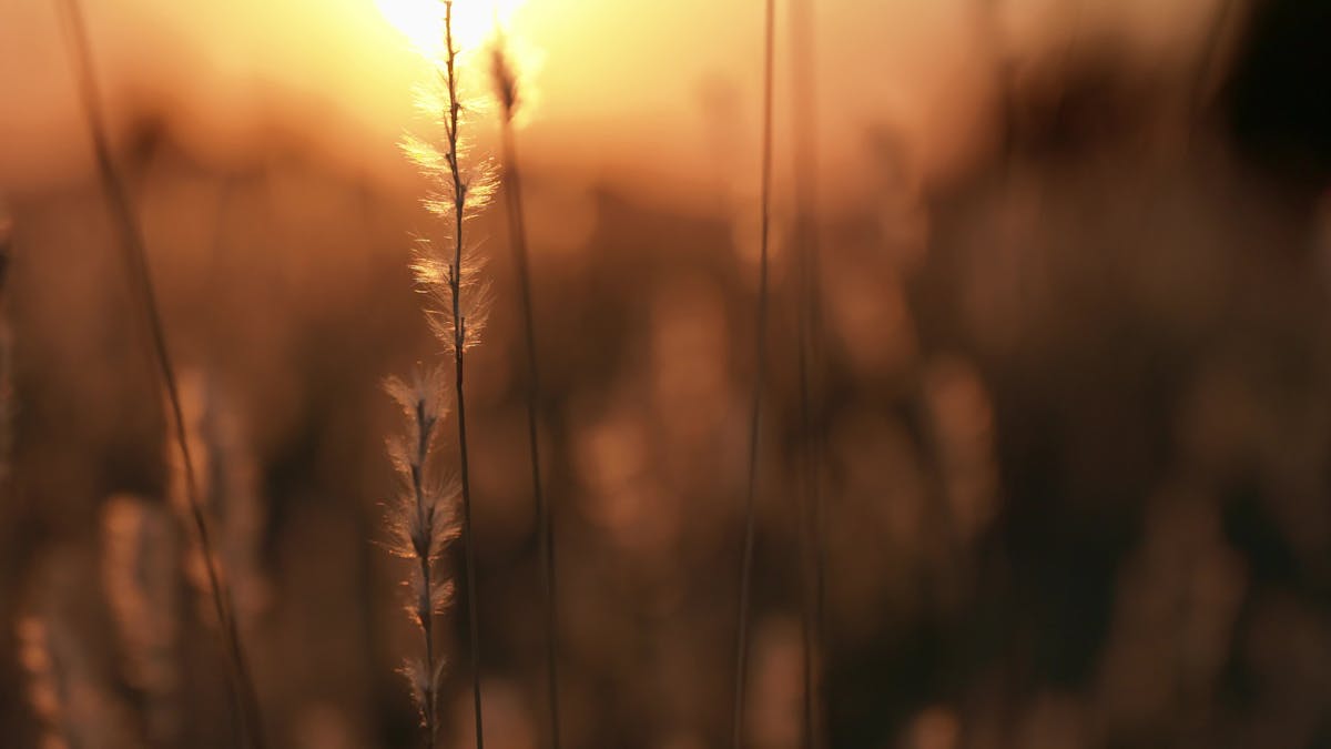 Jiggling+Bare+Breasts Videos, Download The BEST Free 4k Stock Video Footage & Jiggling+Bare ...