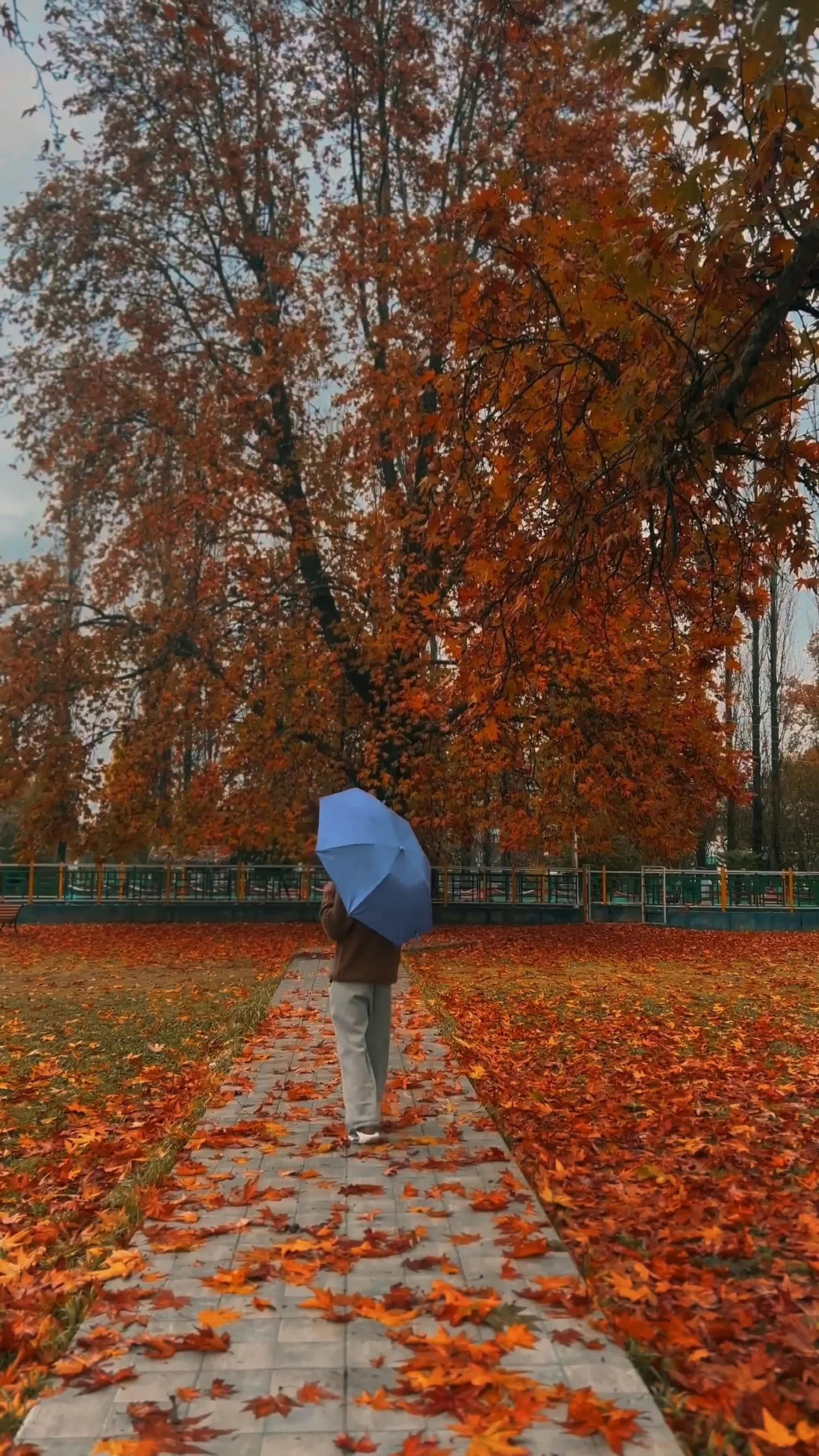 Mov Videos, Download The BEST Free 4k Stock Video Footage & Mov HD ...