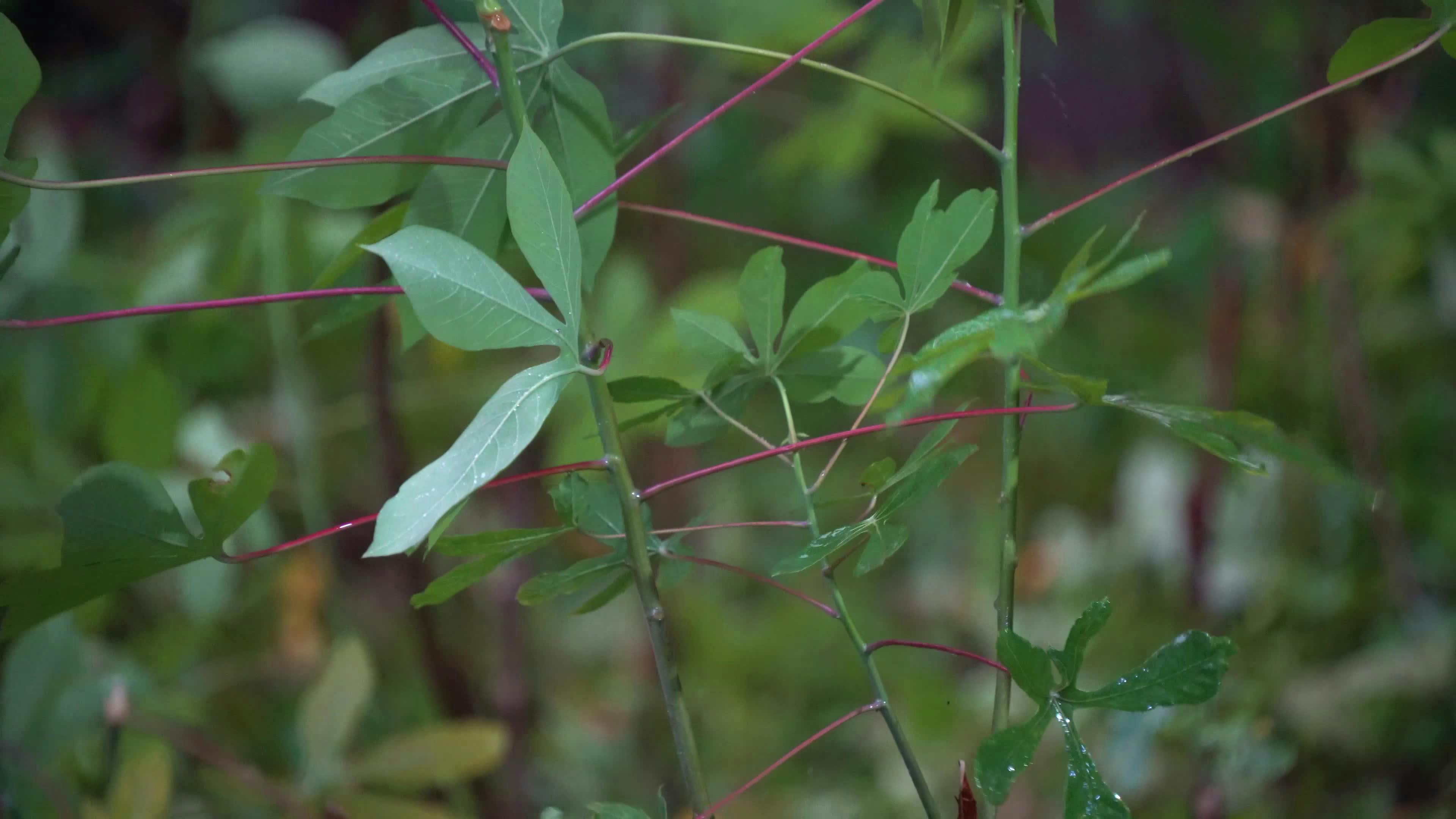 Econ Friendly Videos, Download The BEST Free 4k Stock Video Footage ...