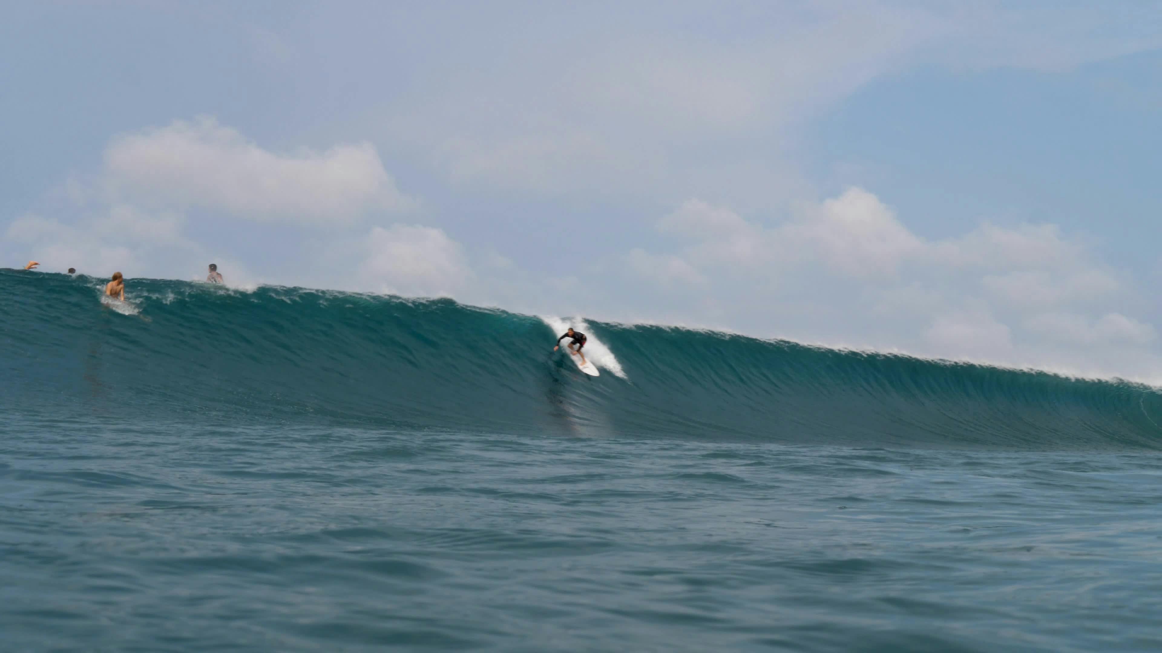 Paradise+Filedot Videos, Download The BEST Free 4k Stock Video Footage ...