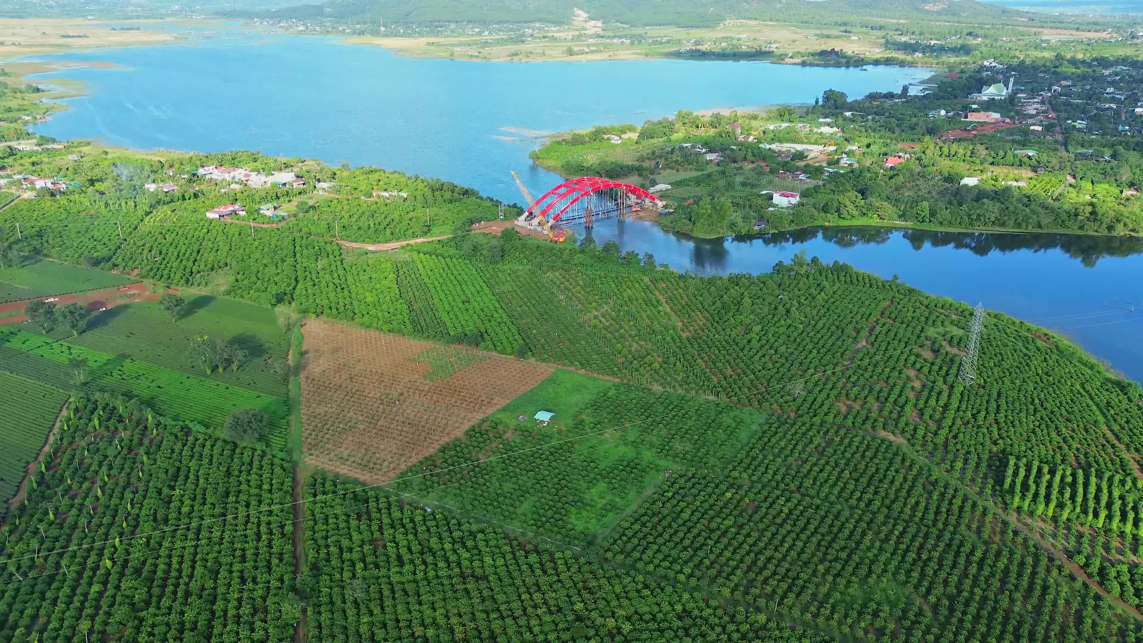 Stunning Aerial View of Gia Lai Tea Plantation Free Stock Video Footage ...