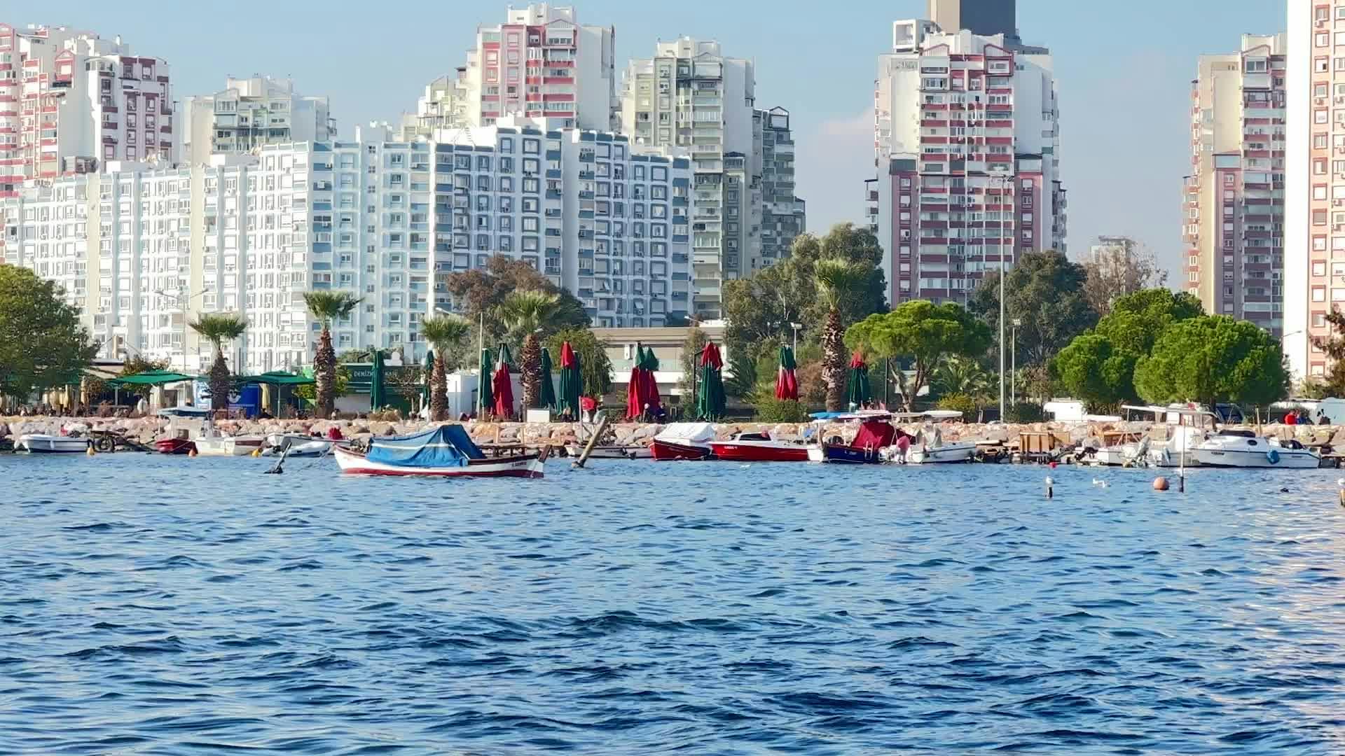 Sissies+With+Nice+Asses Videos, Download The BEST Free 4k Stock Video ...