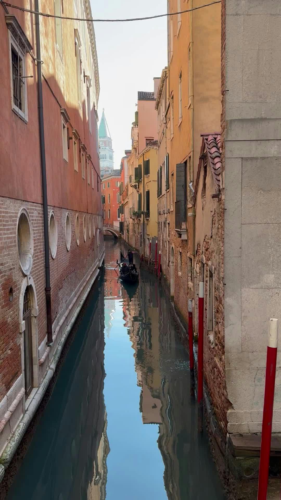 Murano Traditional Venice Videos, Download The BEST Free 4k Stock Video ...