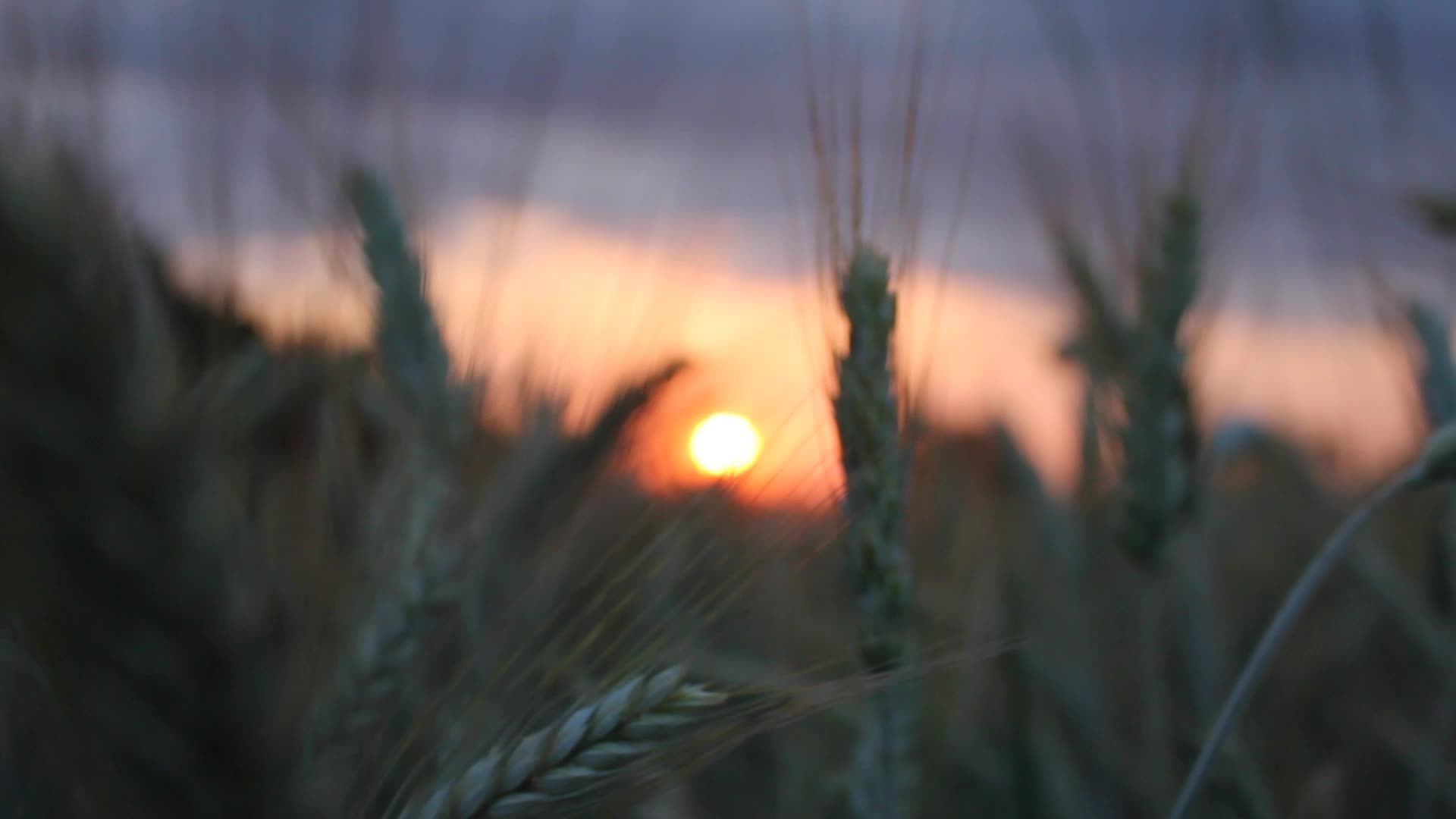 Sunset Portait Videos, Download The BEST Free 4k Stock Video Footage ...
