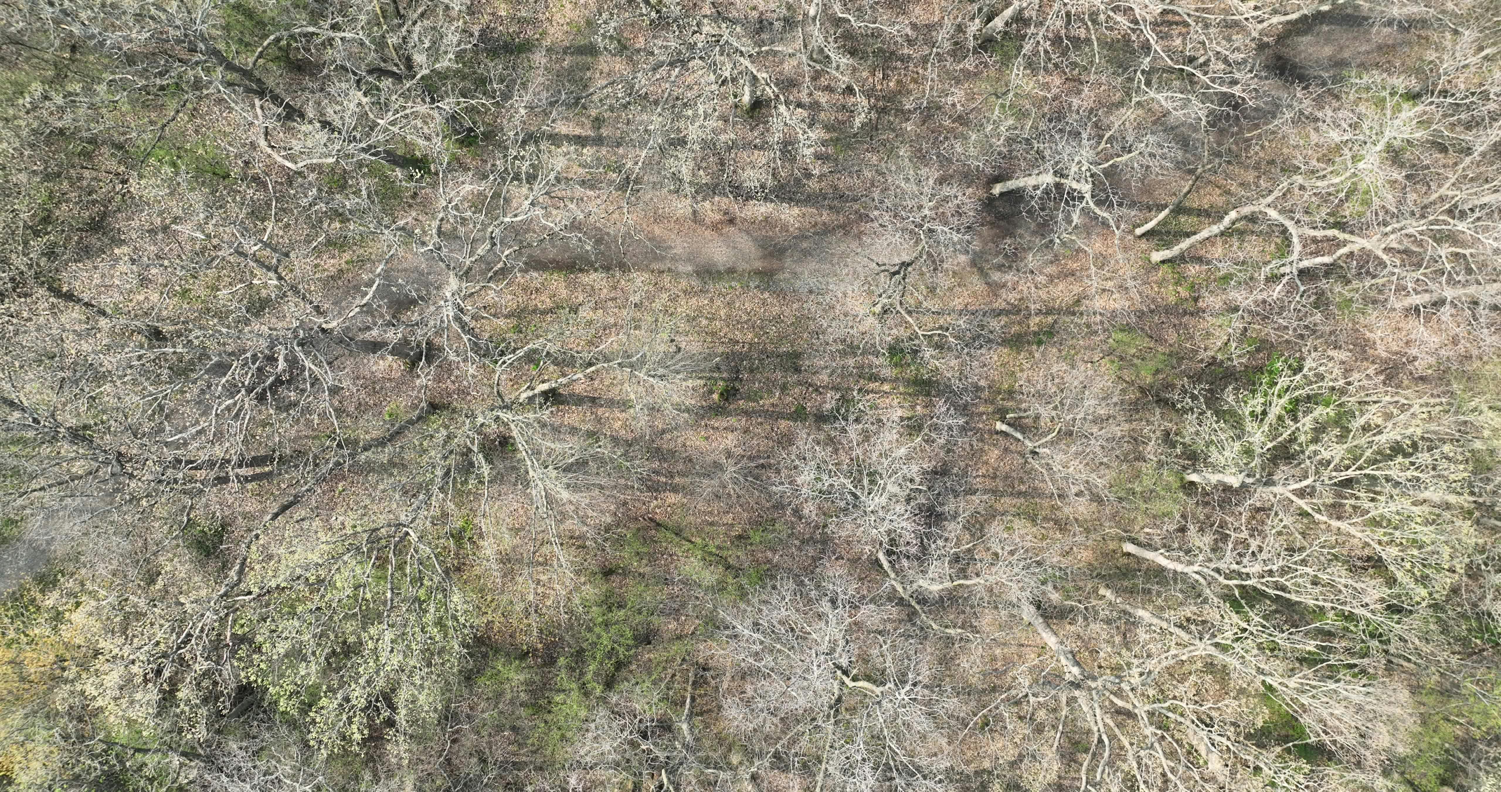 Micro Textures Videos, Download The BEST Free 4k Stock Video Footage ...