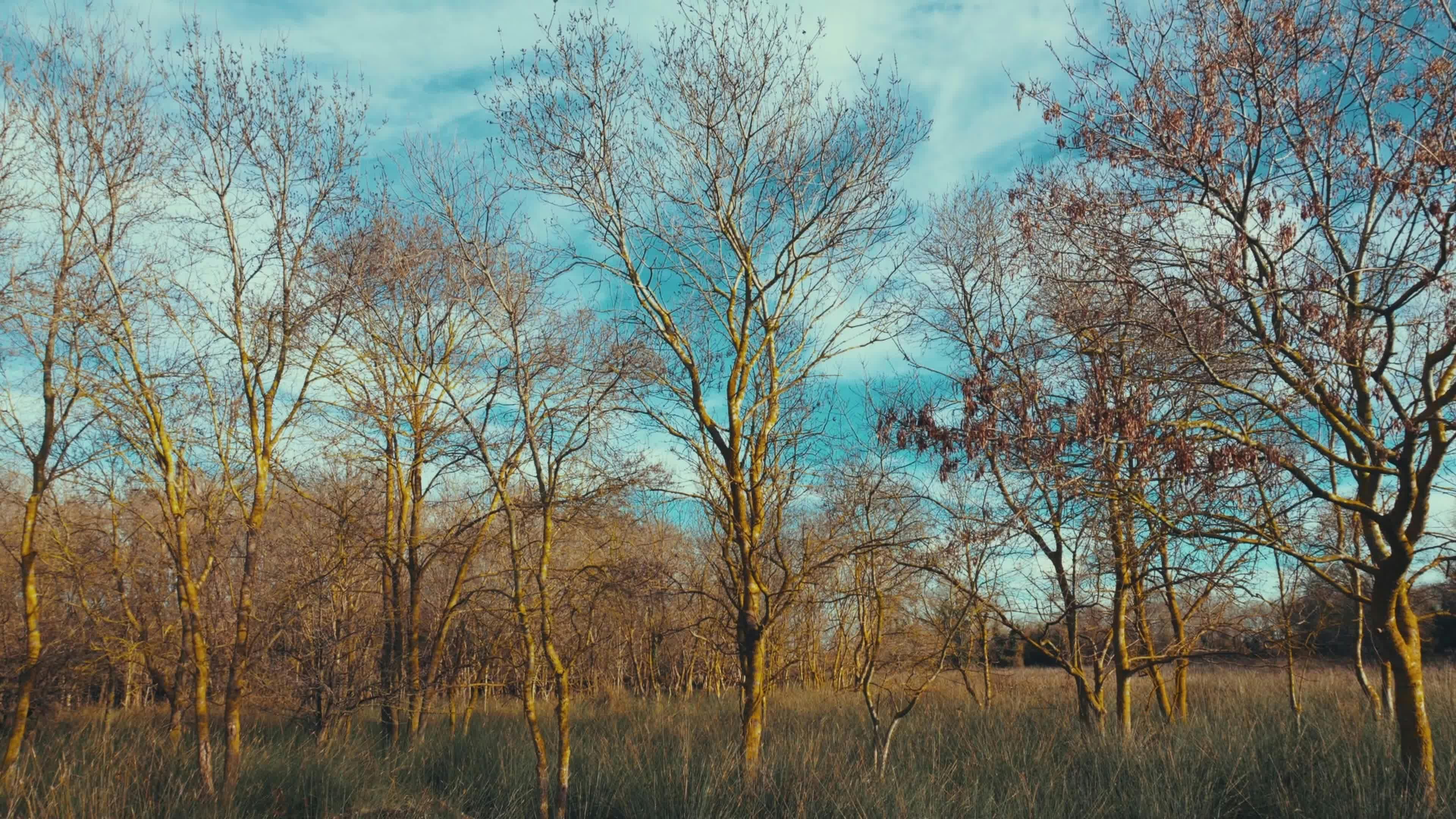 Simple Sky Videos, Download The BEST Free 4k Stock Video Footage ...