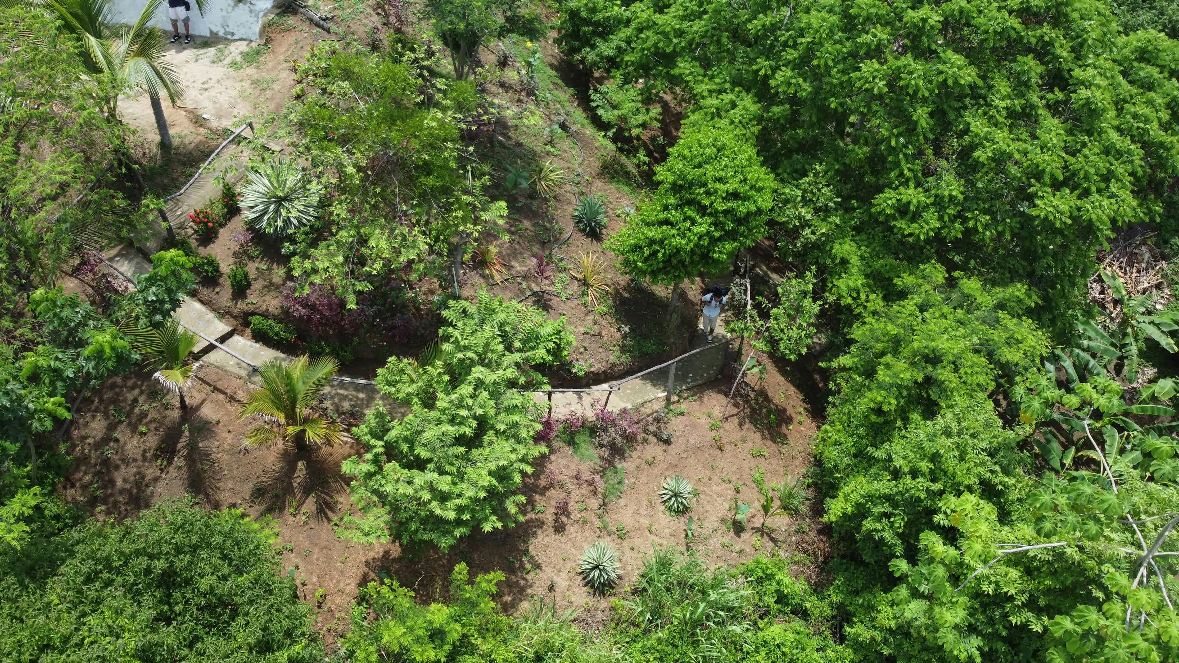 Drone View of Modern Logging Operations in Forest Free Stock Video ...