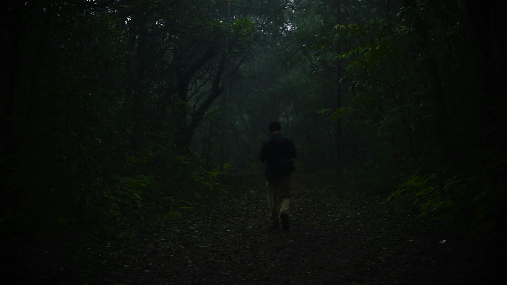 Mysterious Walk Through Dark Forest Pathway Free Stock Video Footage ...