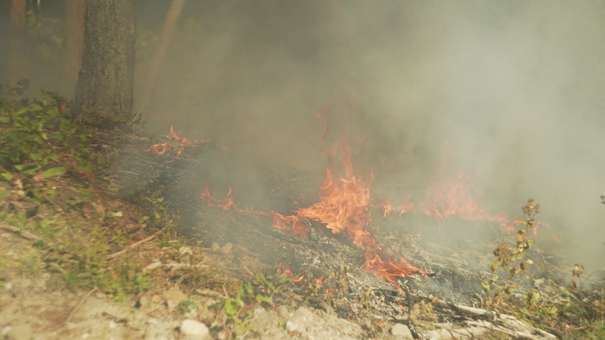 Fire Burning Videos, Download The BEST Free 4k Stock Video Footage ...