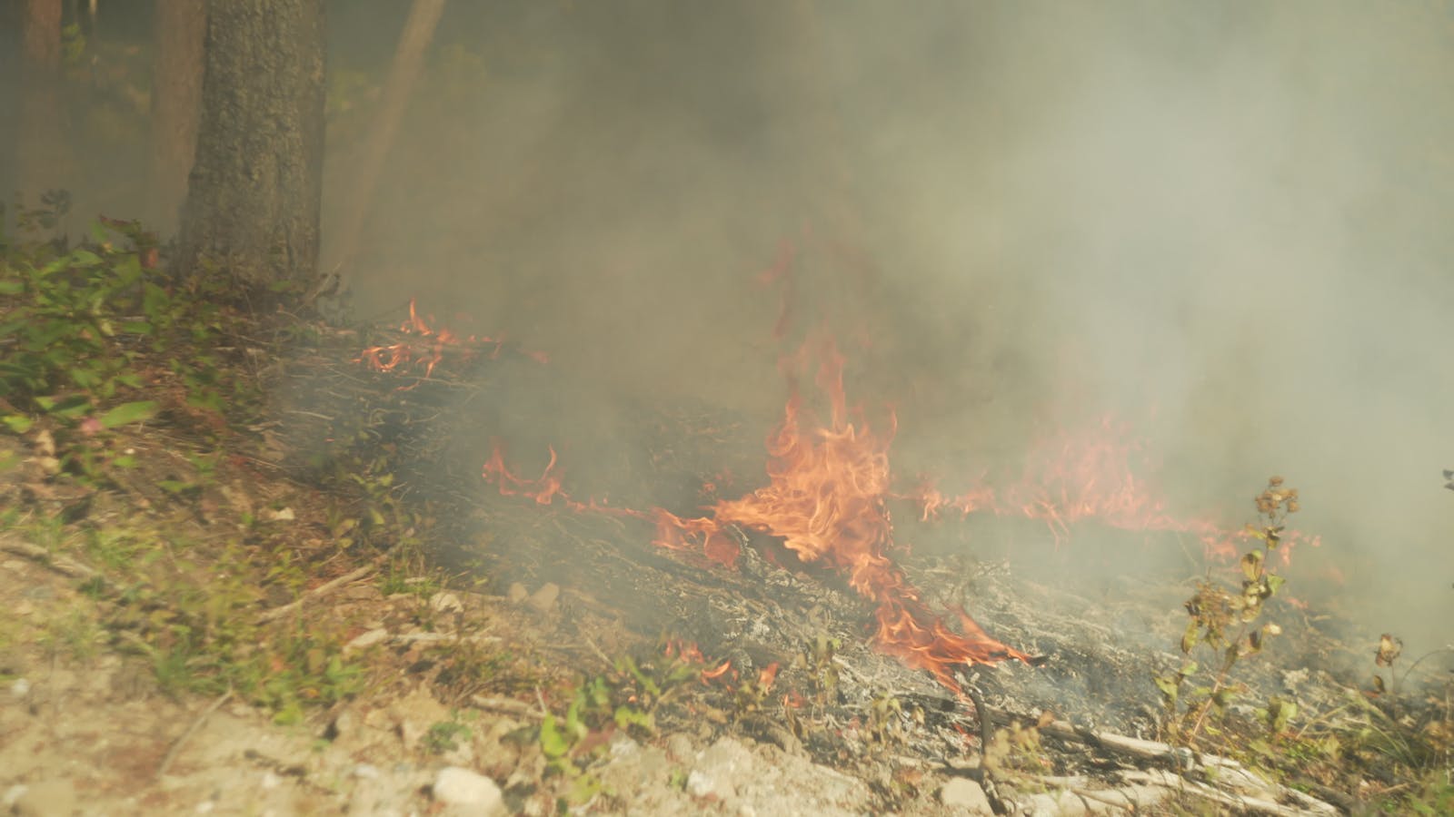 Webcam+Brush+Bate Videos, Download The BEST Free 4k Stock Video Footage ...