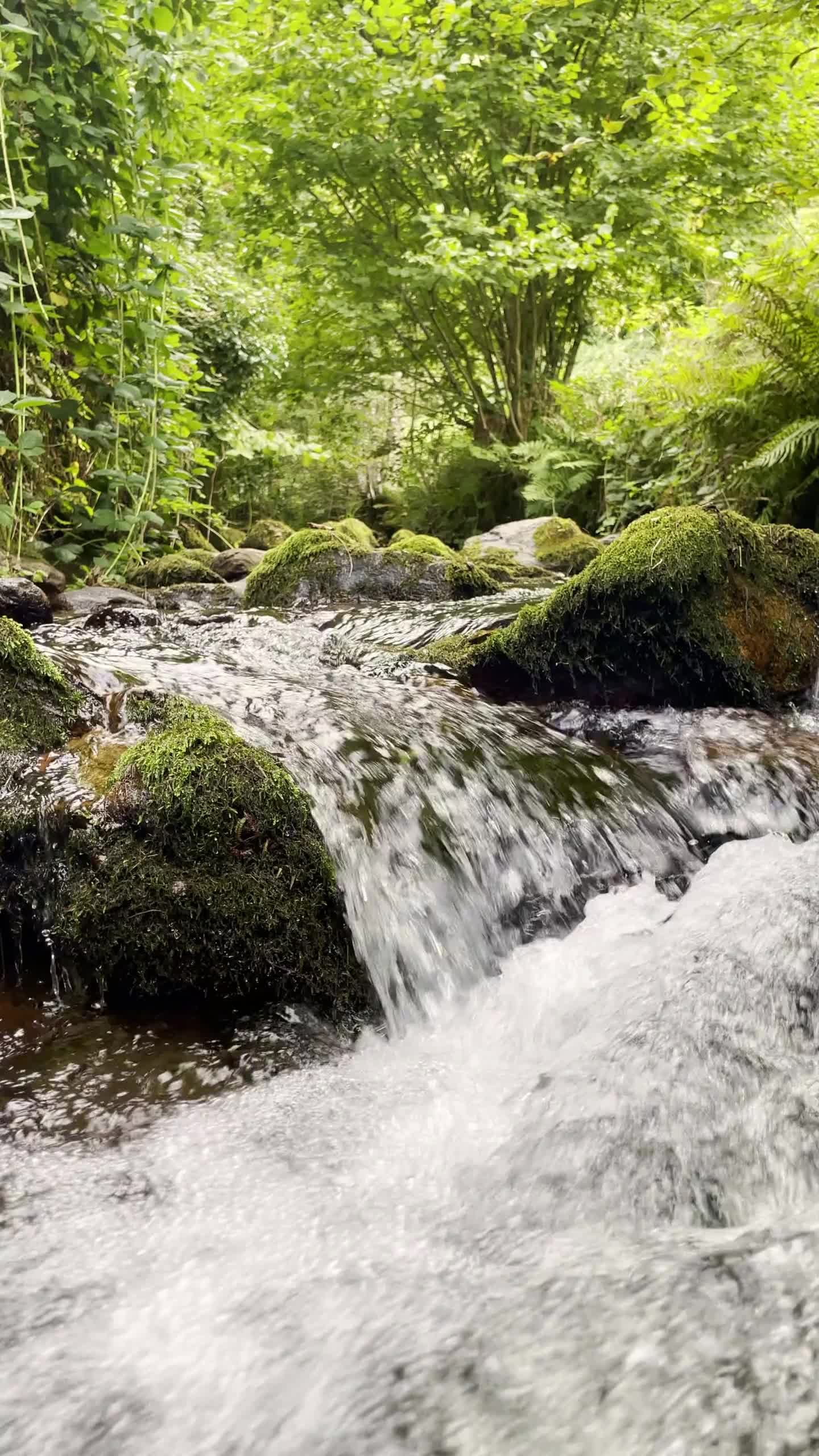 Ote Stones Videos, Download The BEST Free 4k Stock Video Footage & Ote ...