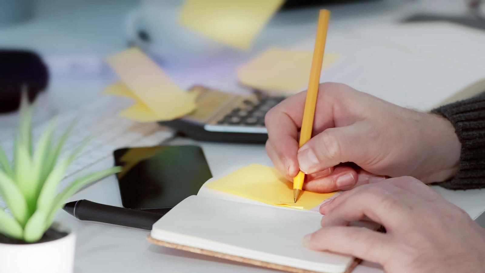 Finish Videos, Download The BEST Free 4k Stock Video Footage & Finish ...