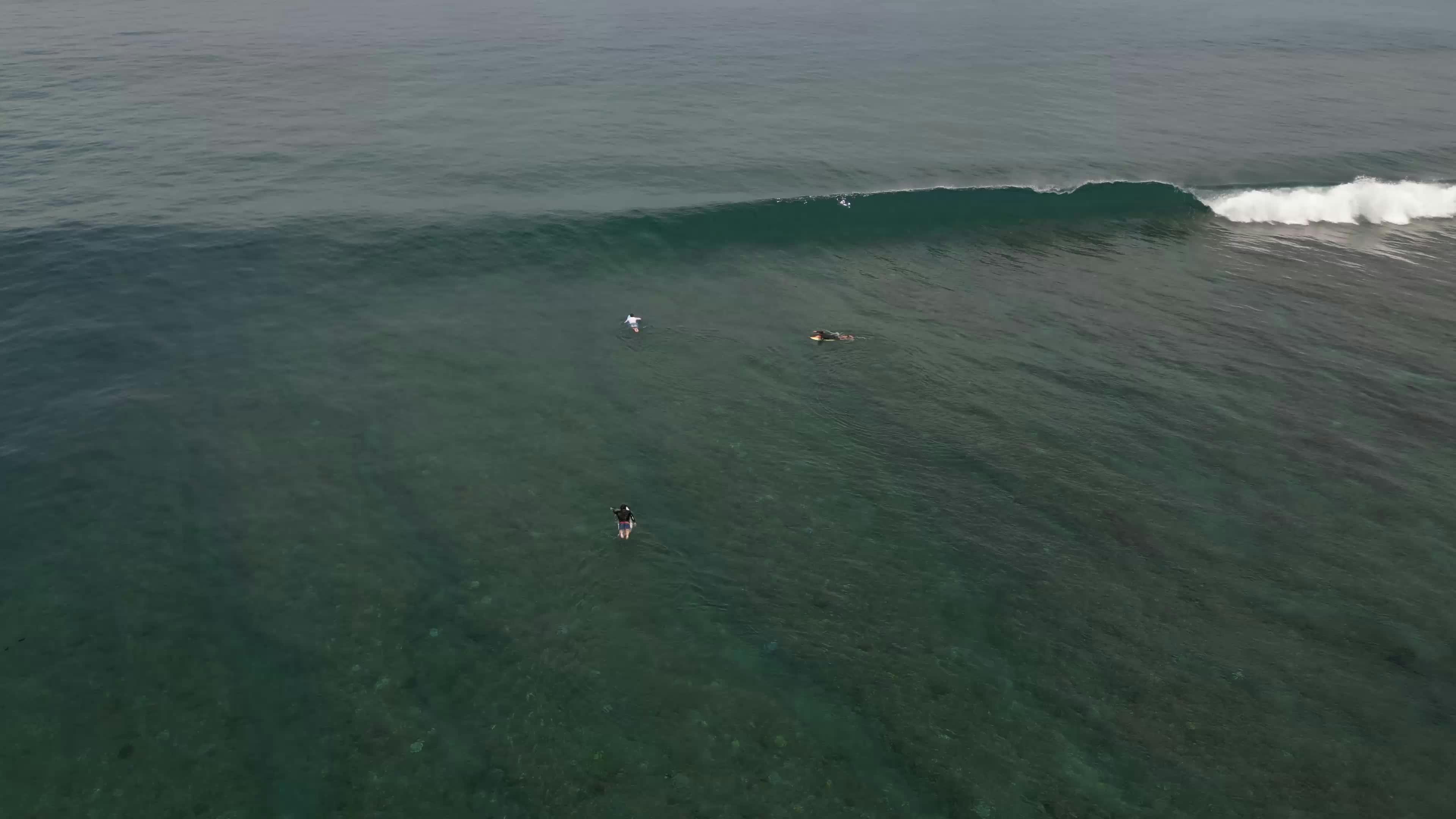 Aerial View of Surfing on Tropical Waves Free Stock Video Footage ...