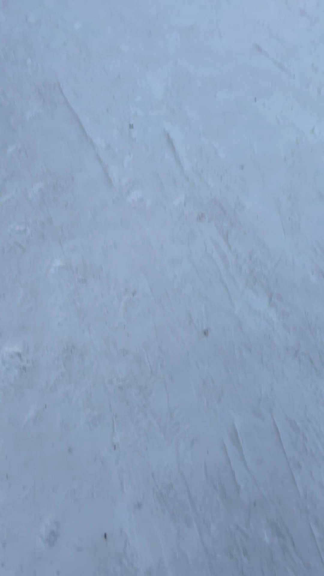 Lorenzo Alessio Messina - 摄影