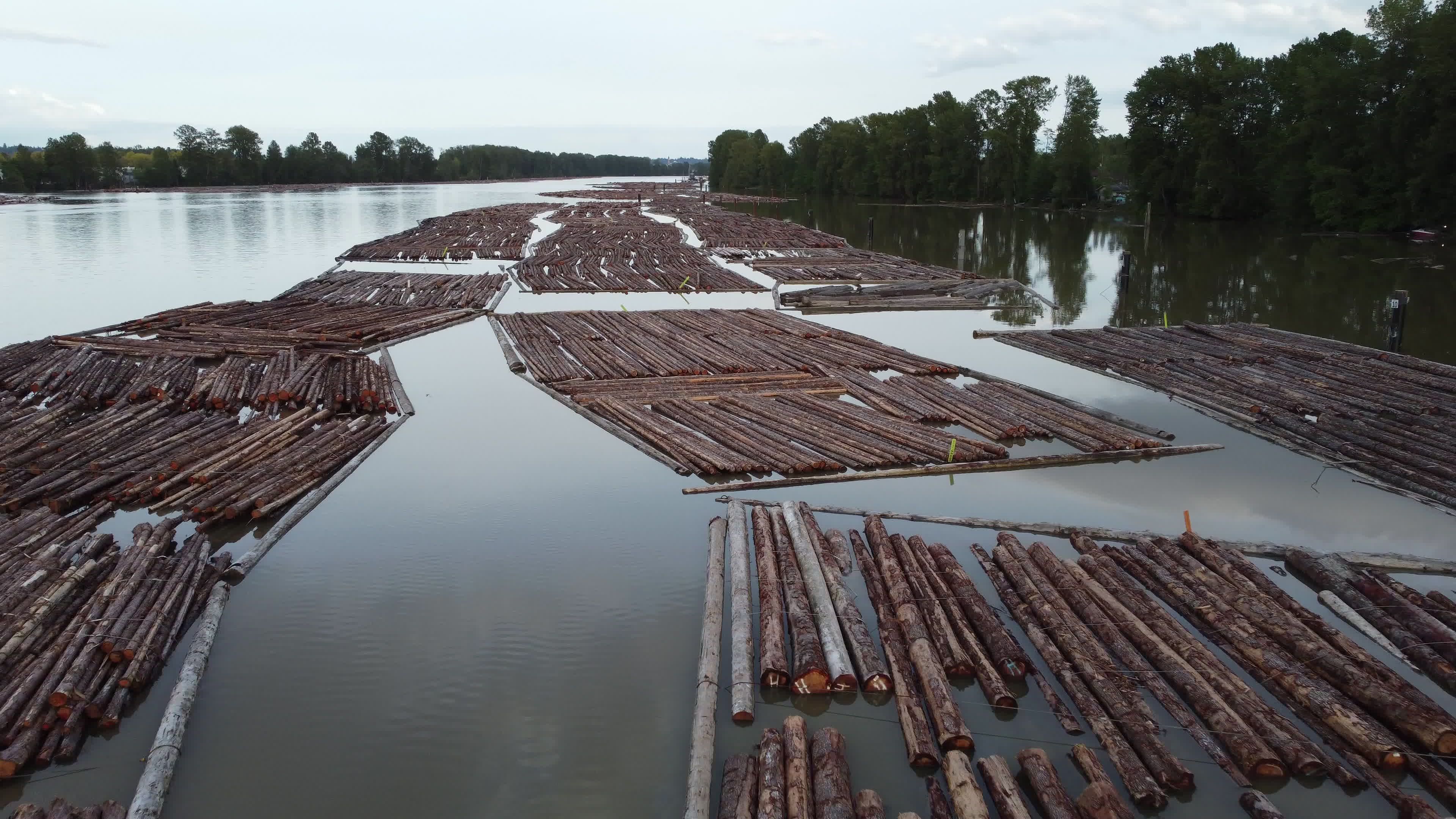 Logging Operations on a Serene River Free Stock Video Footage, Royalty ...