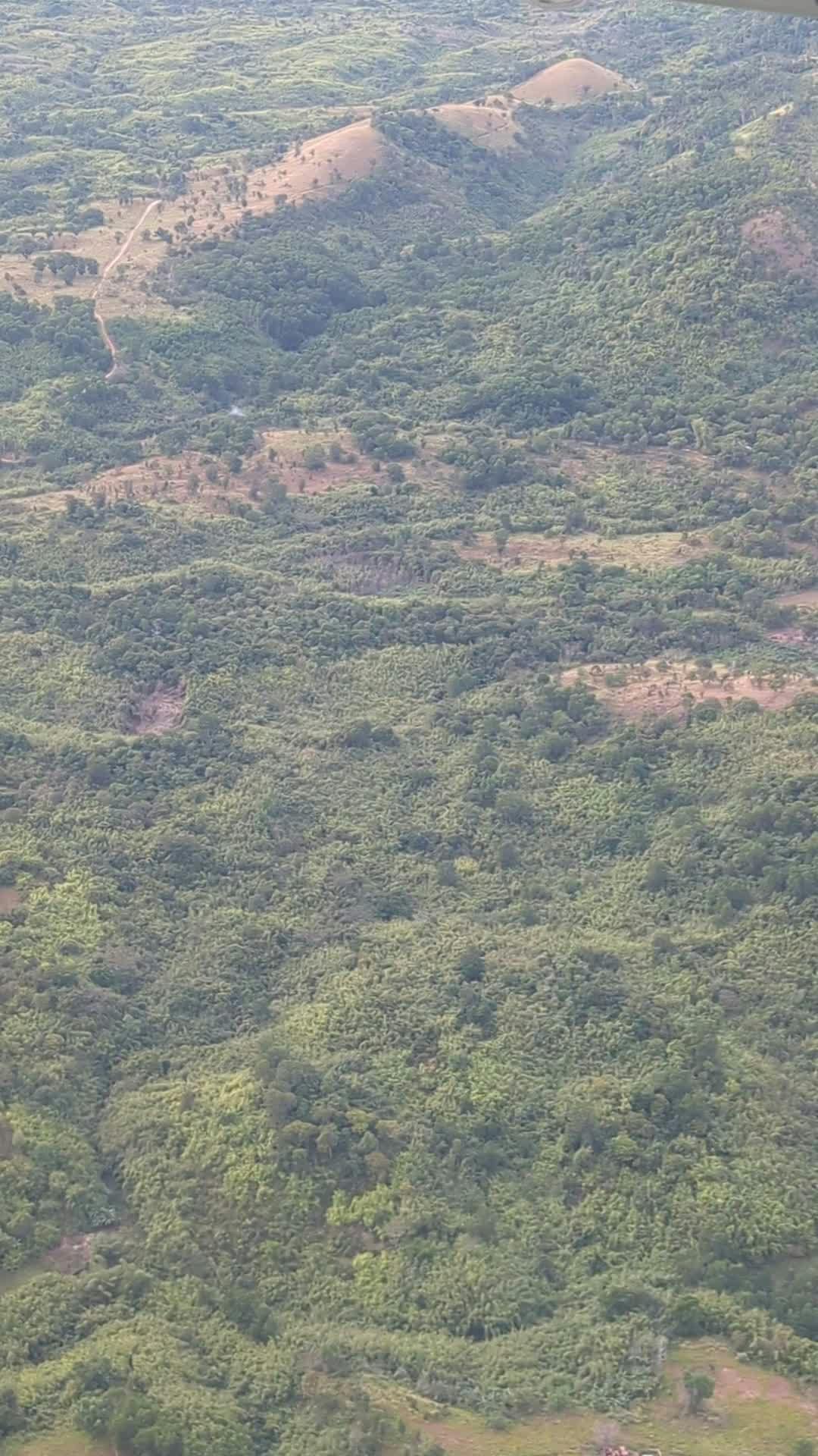Vídeos de stock gratuitos sobre al aire libre, área silvestre ...