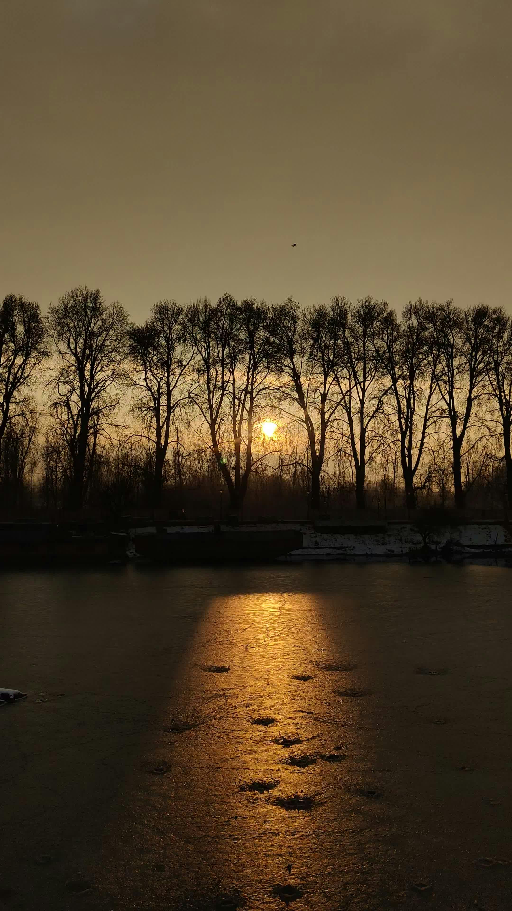 First+Beastiality+Vids Videos, Download The BEST Free 4k Stock Video ...