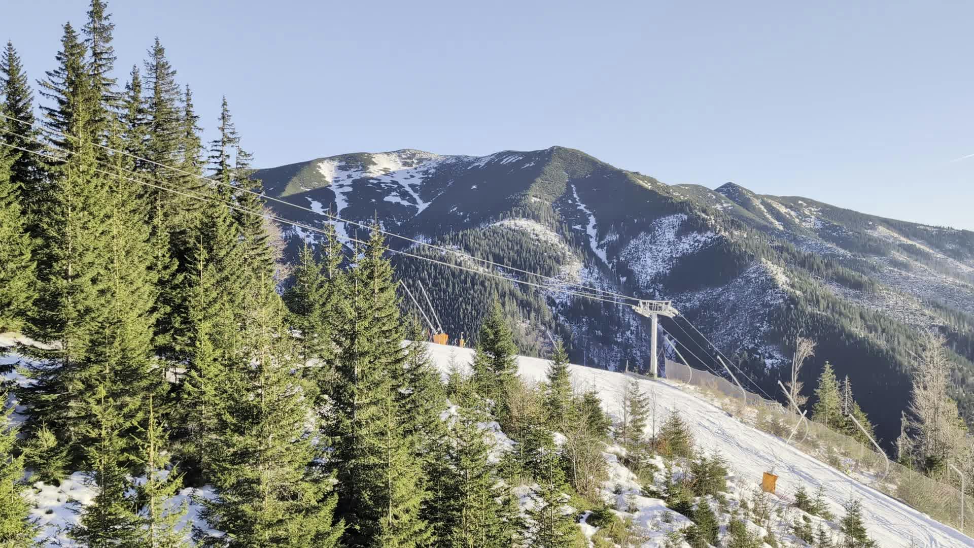 Recreation Forest Videos, Download The BEST Free 4k Stock Video Footage ...