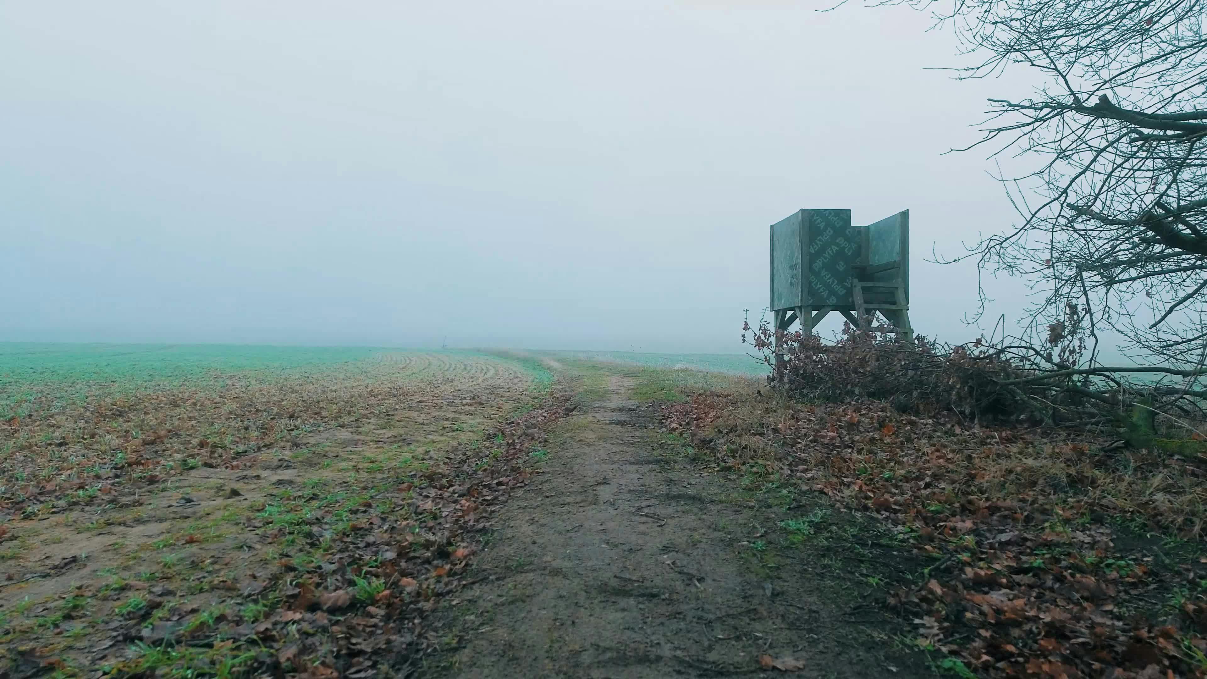 Path Path Videos, Download The BEST Free 4k Stock Video Footage & Path ...