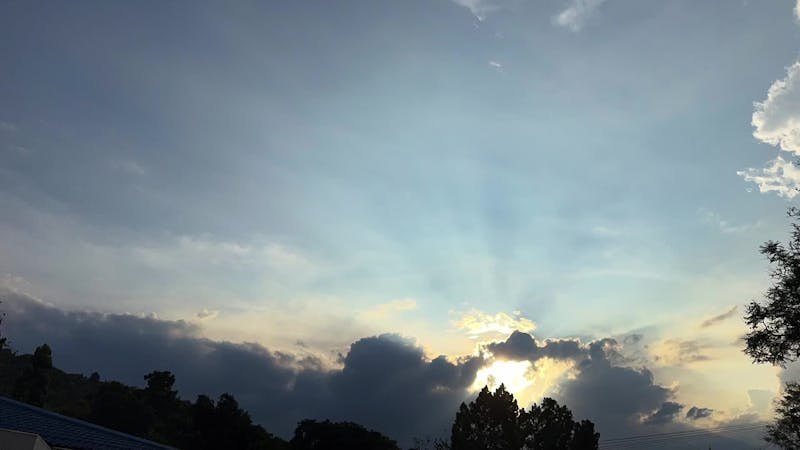 Cinematic Nature Videos, Download The BEST Free 4k Stock Video Footage ...