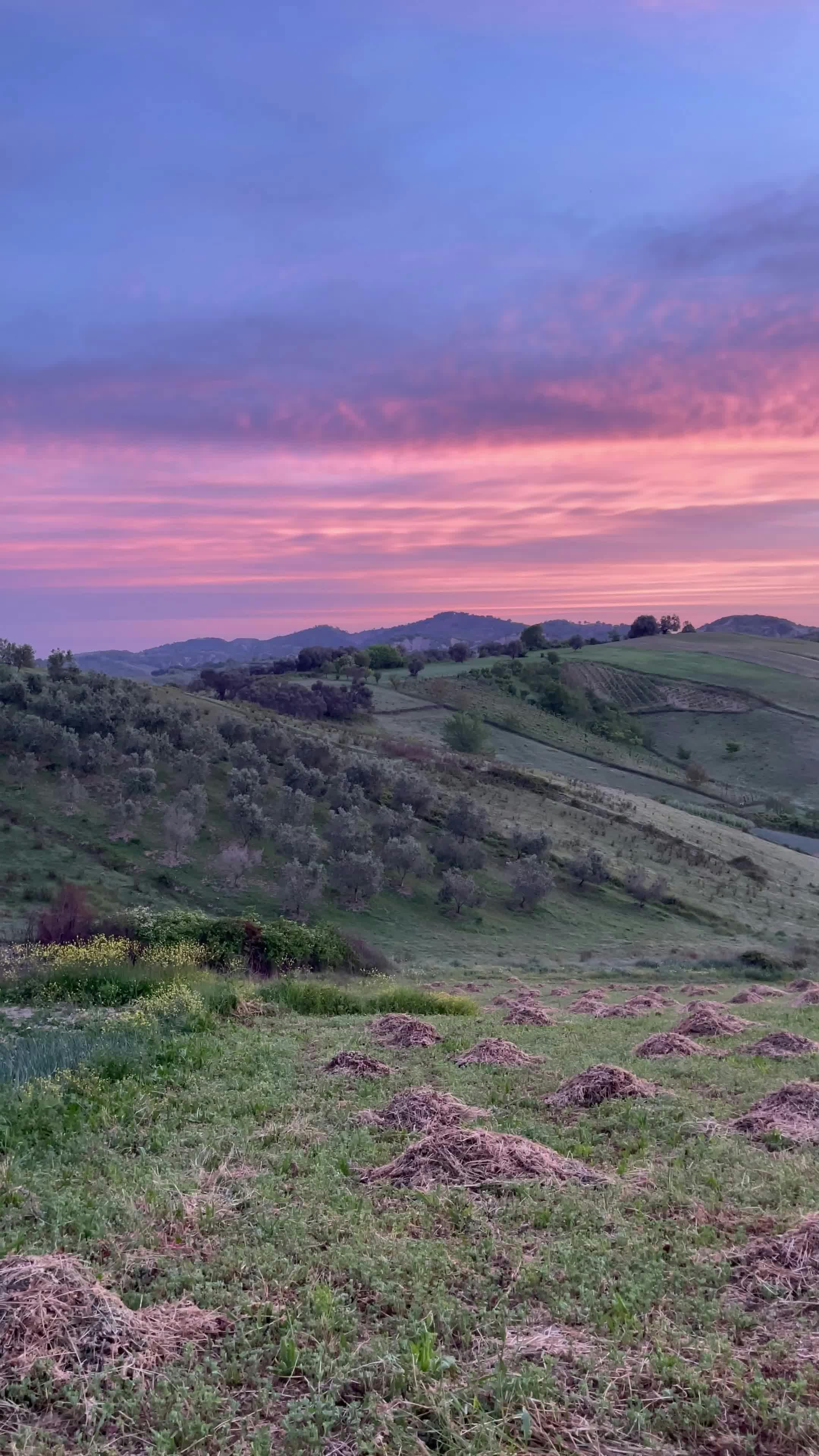 Photoshop Landscape Design Videos, Download The BEST Free 4k Stock ...