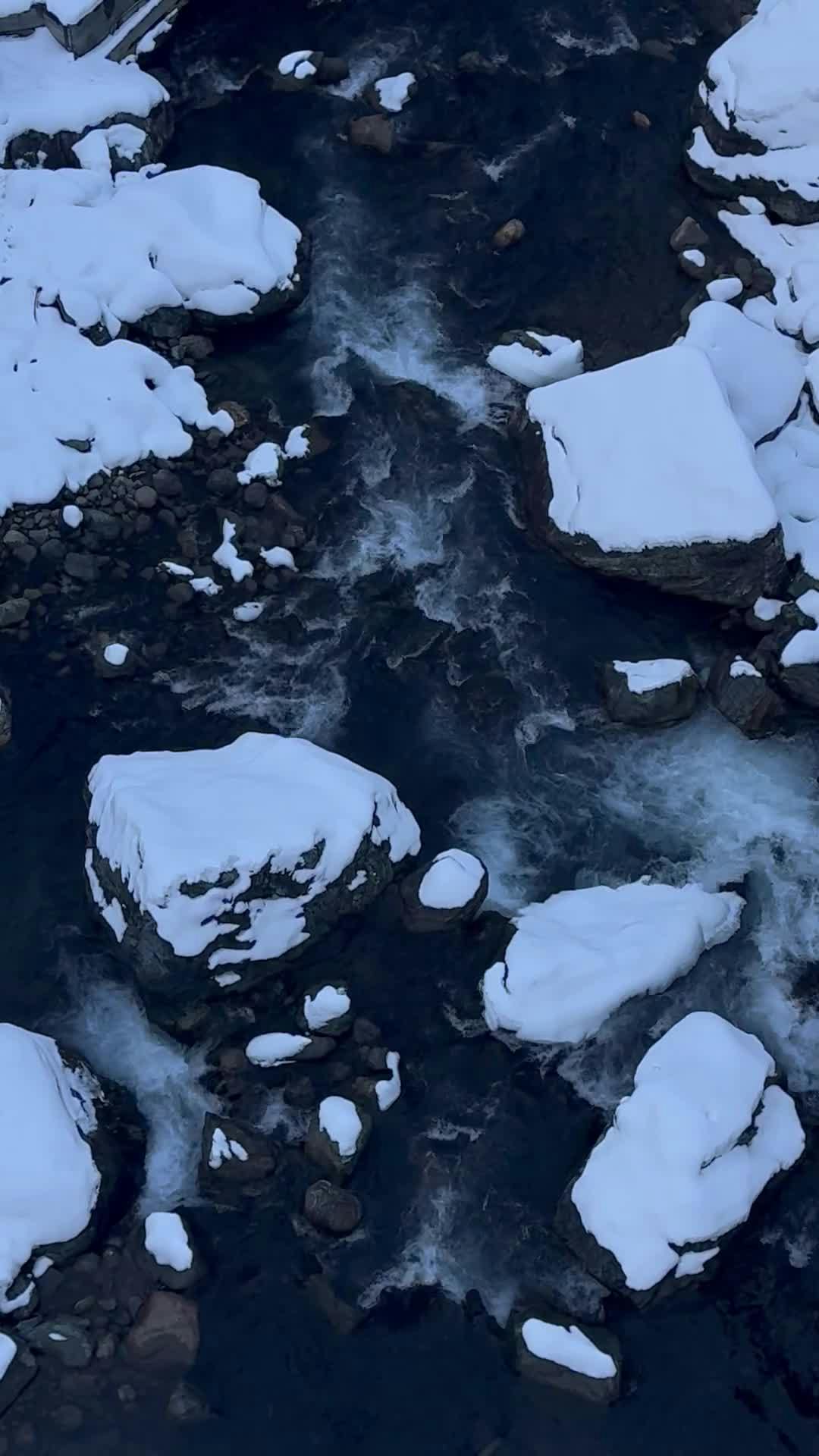 Ruby Ruby - Photography