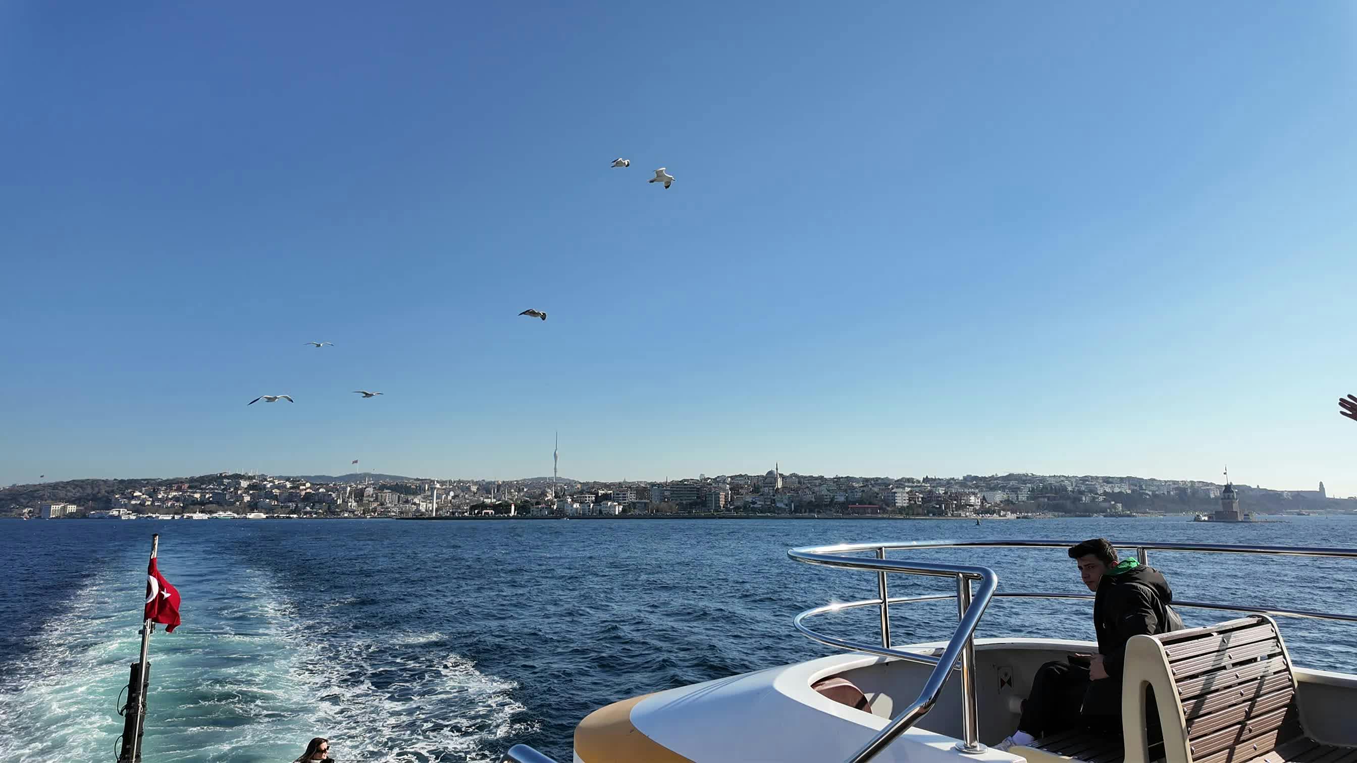 Tourism Birds Videos, Download The BEST Free 4k Stock Video Footage ...